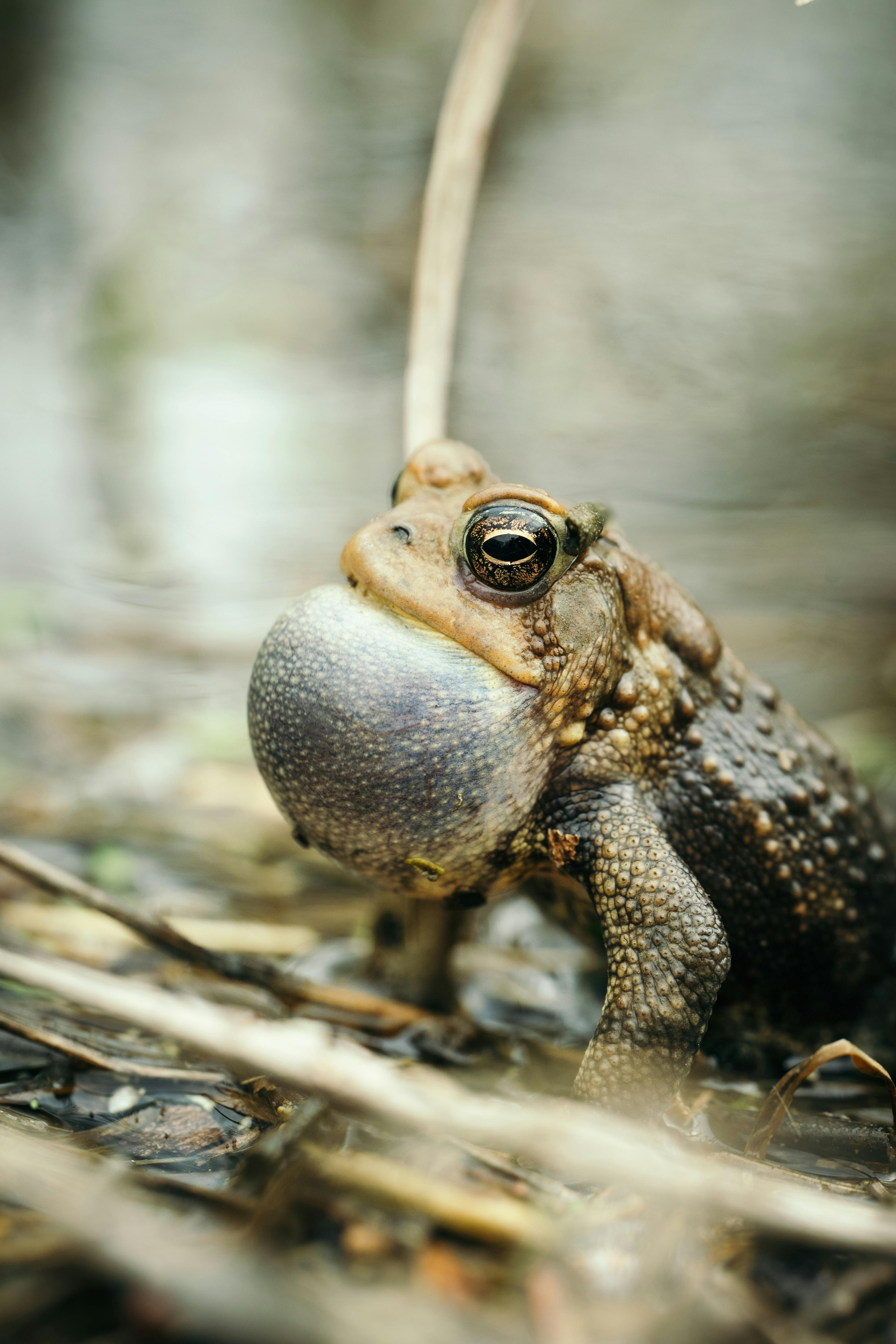 Pvc Texture Photos, Download The BEST Free Pvc Texture Stock Photos ...