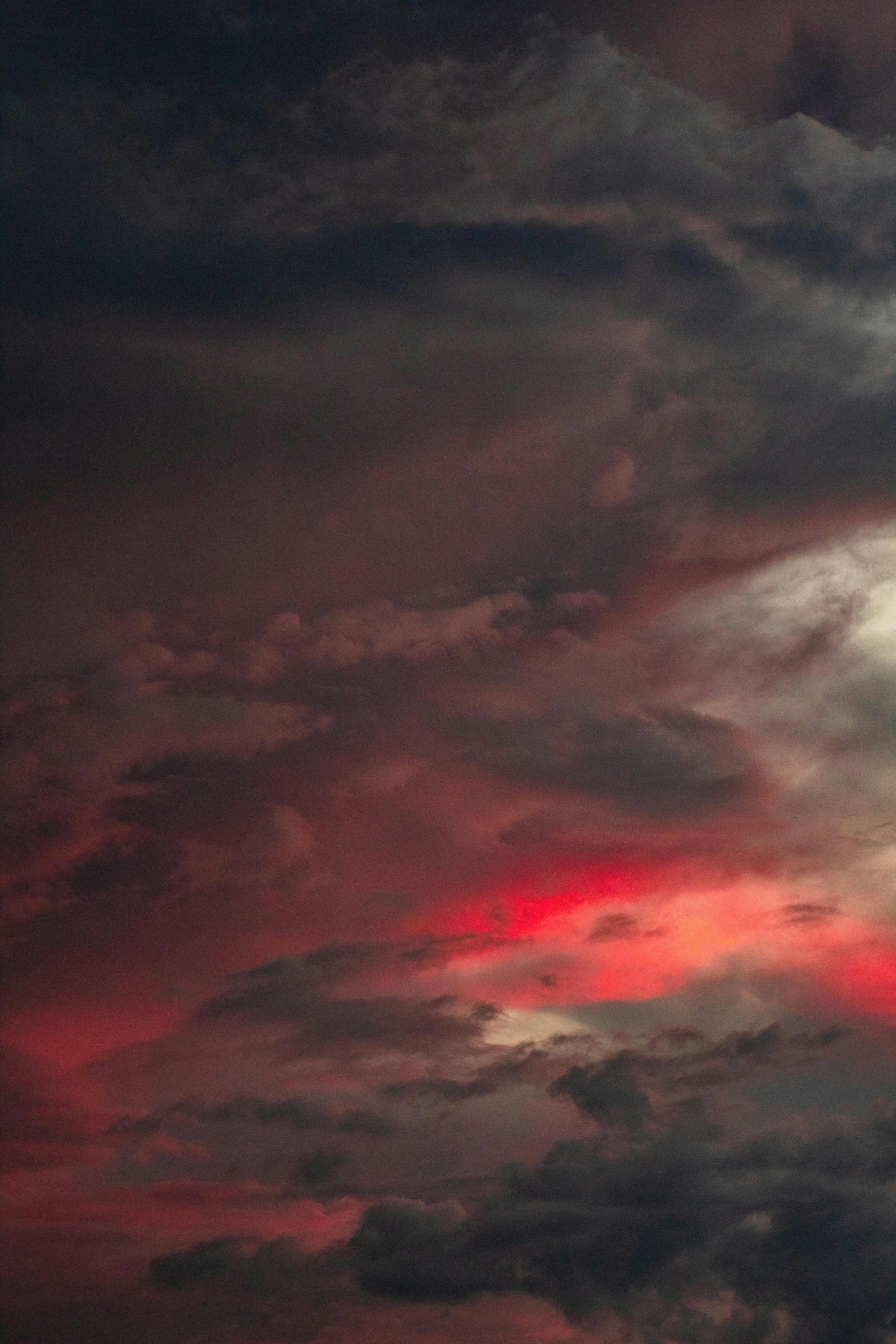 Amazon Alexa Photos, Download The BEST Free Amazon Alexa Stock Photos ...