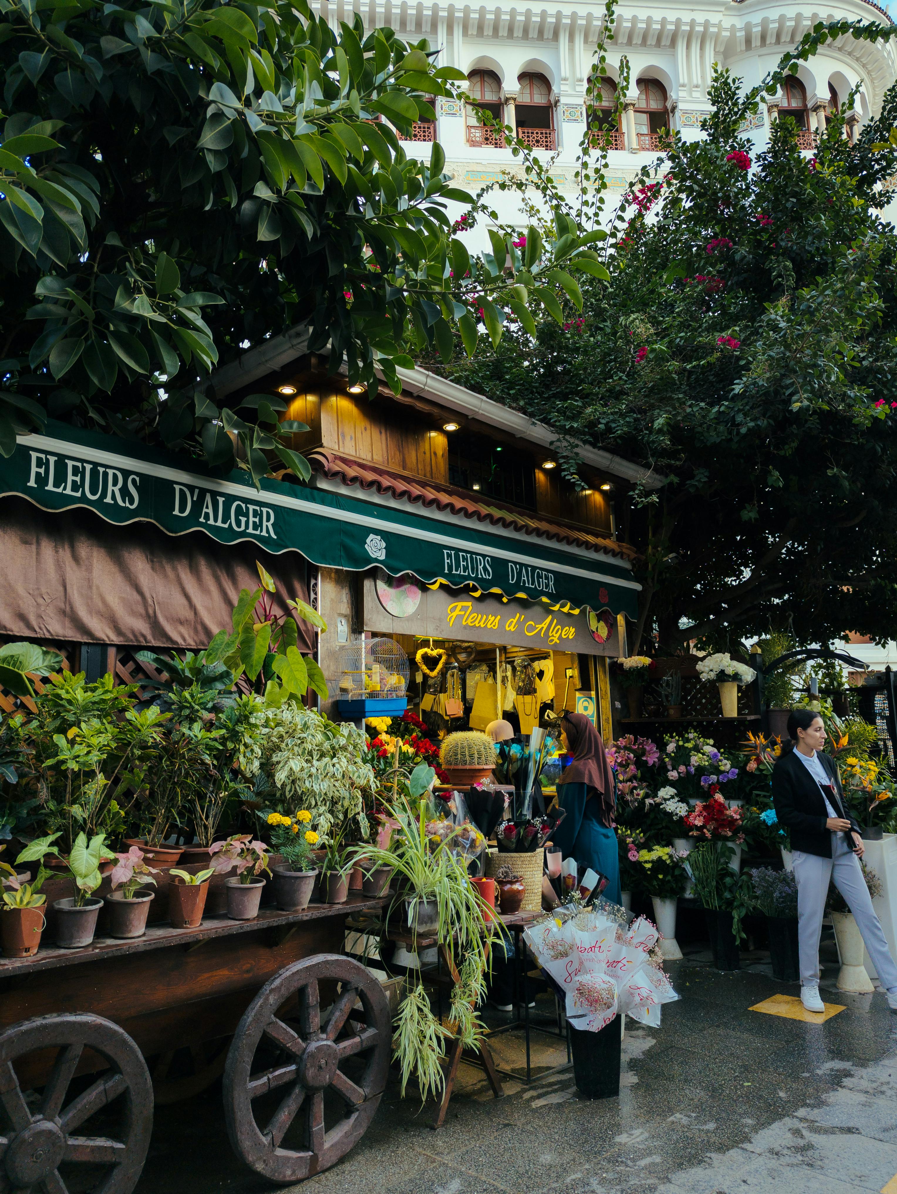 Charming Algerian Flower Market in Algiers · Free Stock Photo