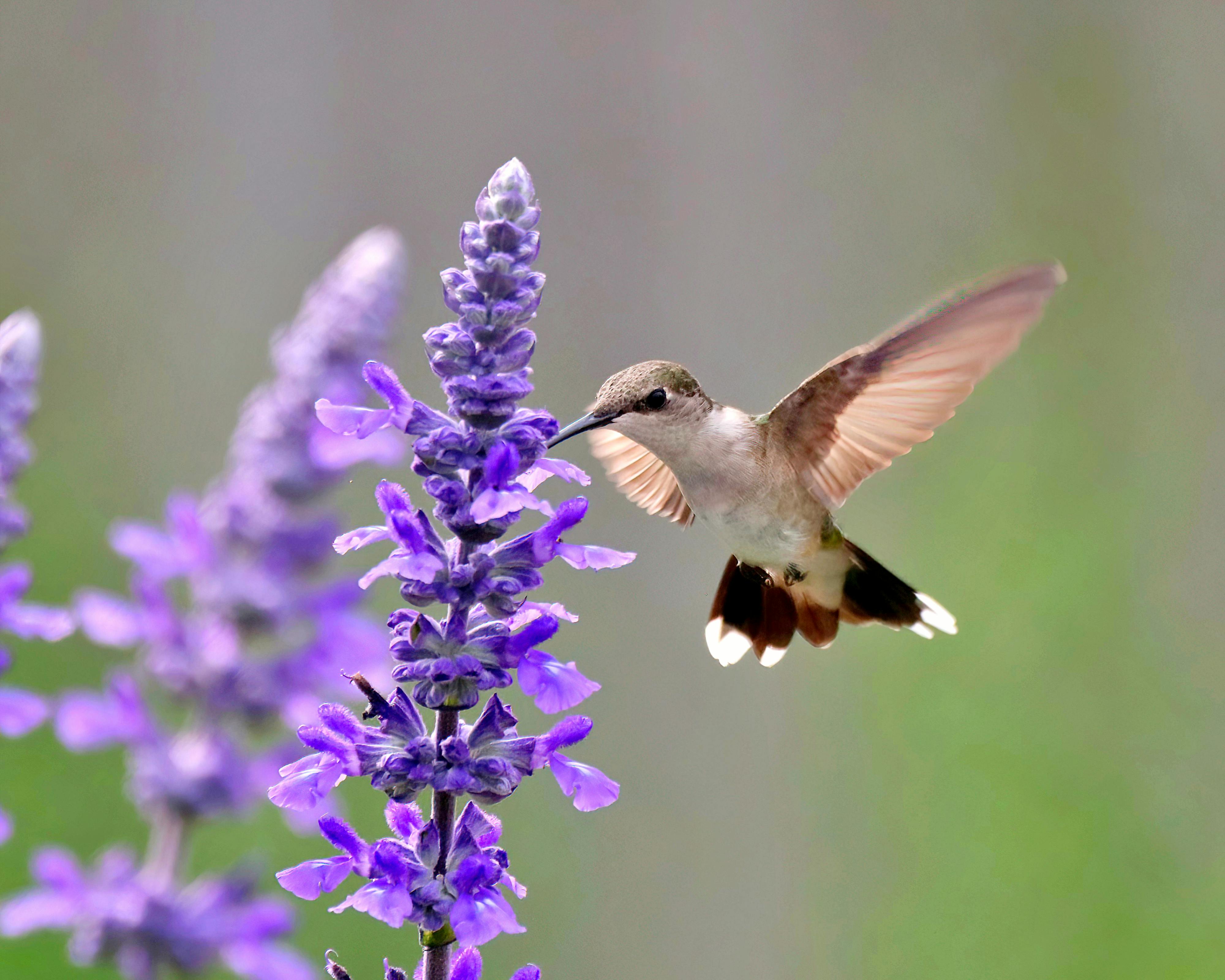 Small Size Photos, Download The BEST Free Small Size Stock Photos & HD ...