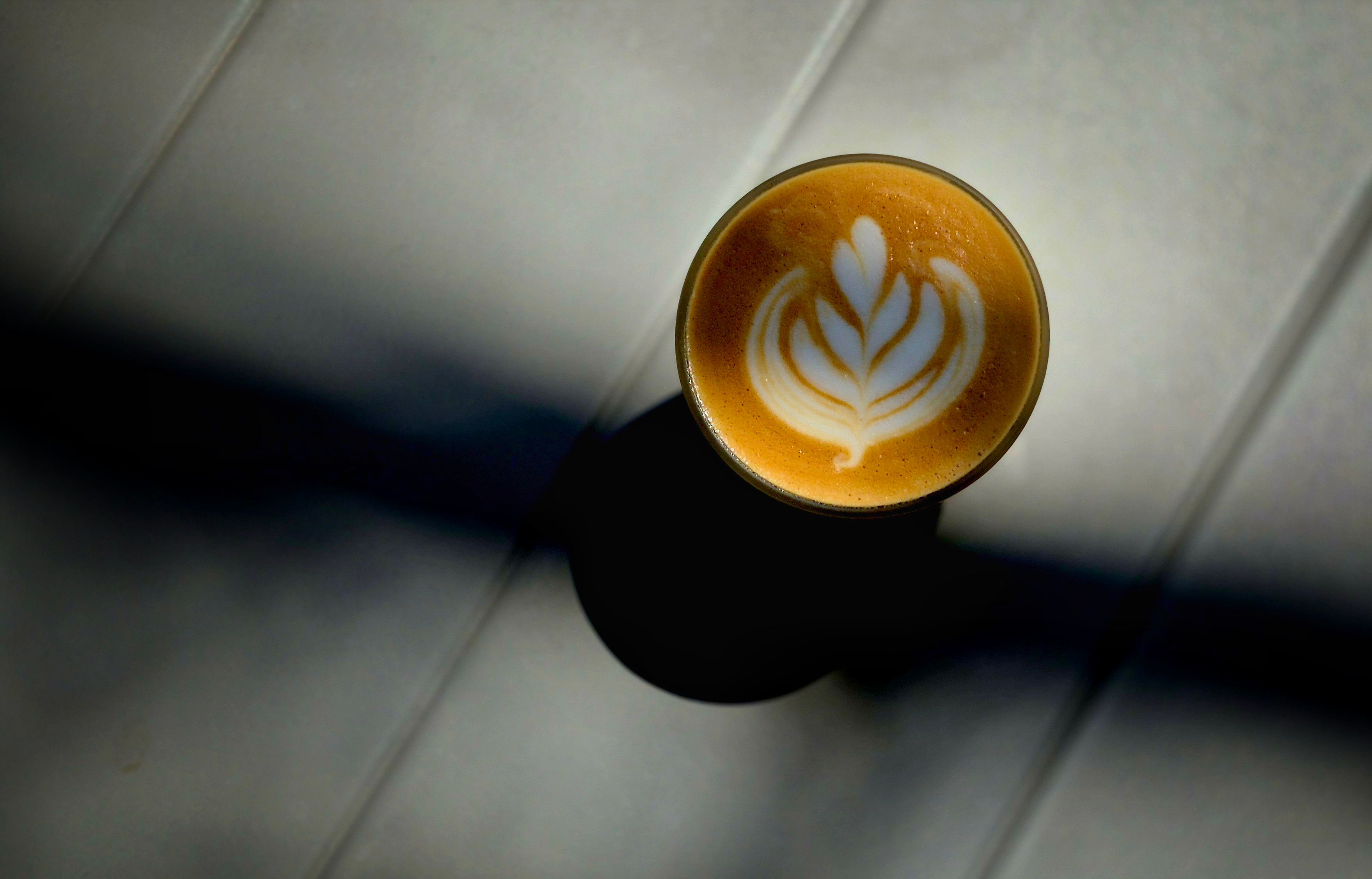 Elegant Latte Art in Ciudad de México Café · Free Stock Photo
