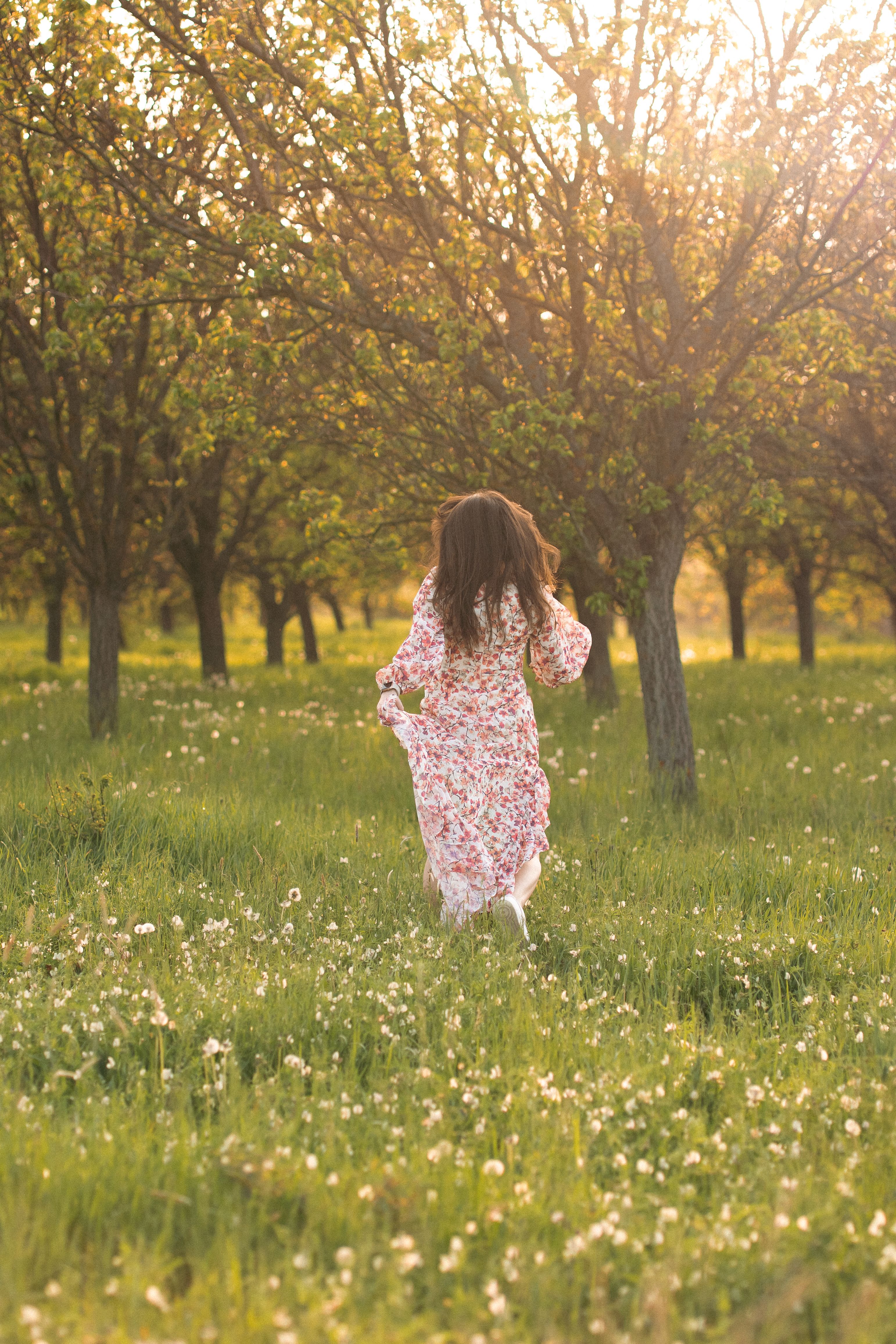 Scene Aesthetic Photos, Download The BEST Free Scene Aesthetic Stock ...