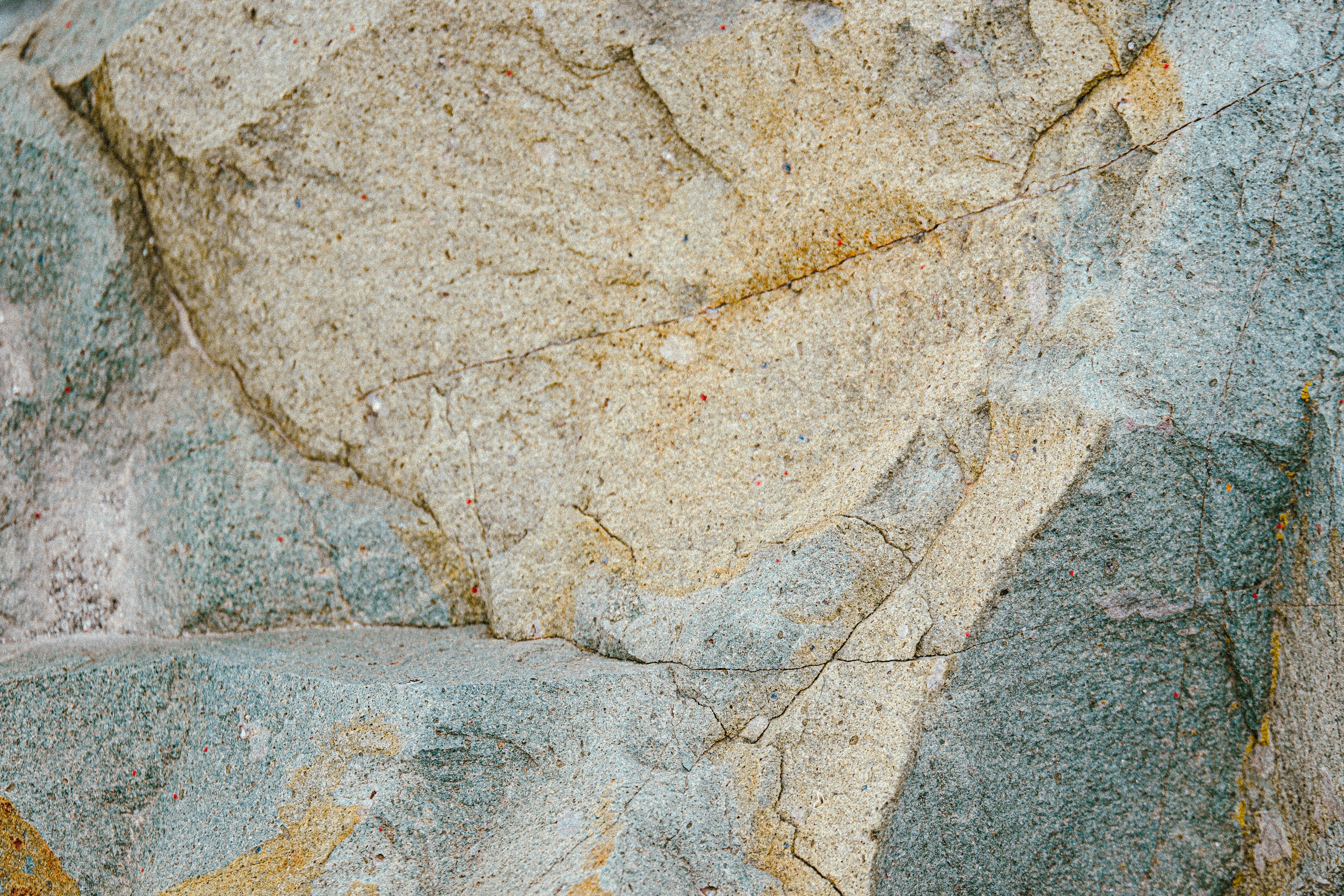 Milkshake Solid Background Photos, Download The BEST Free Milkshake ...