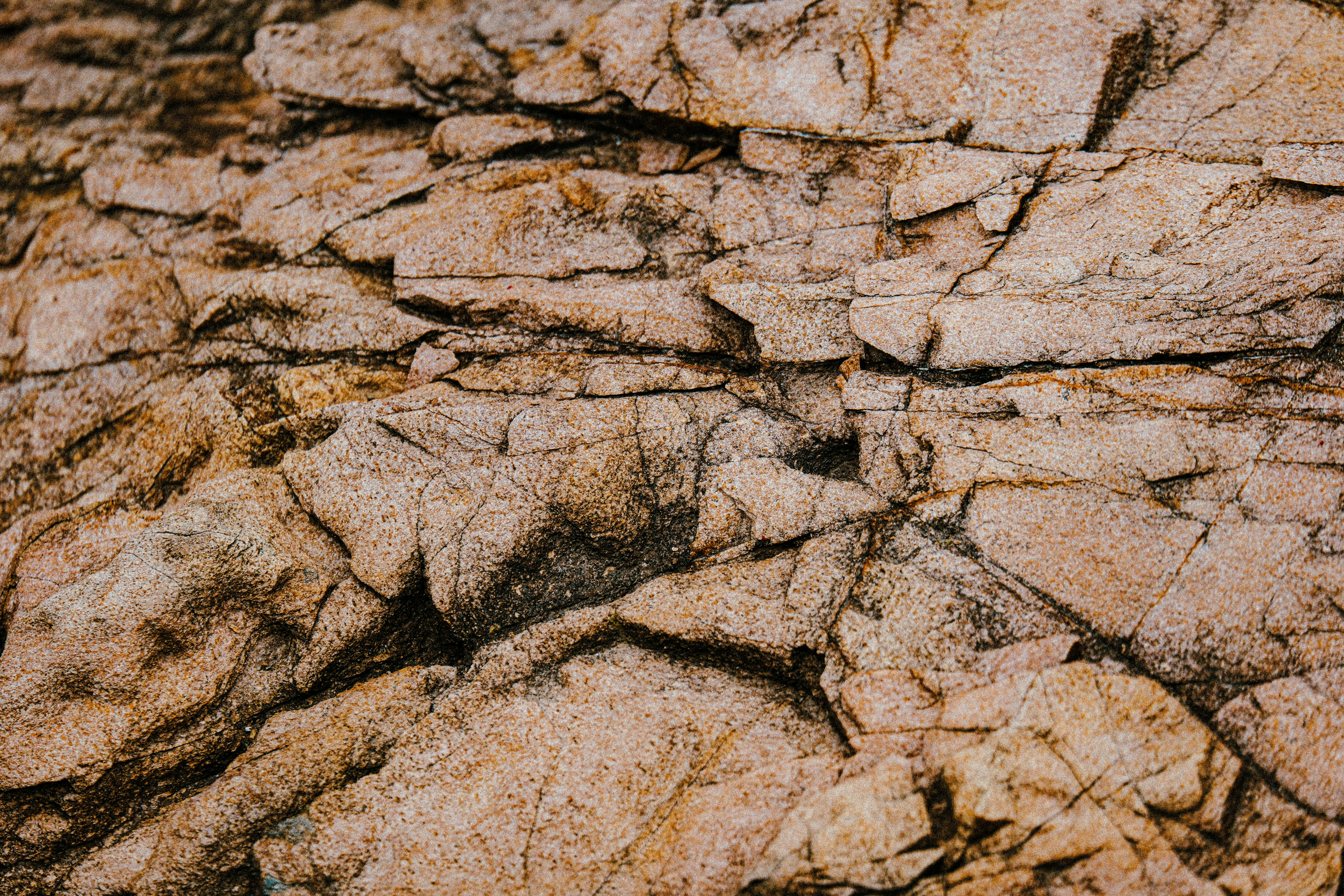 Yusuf Timur Çelik - 摄影