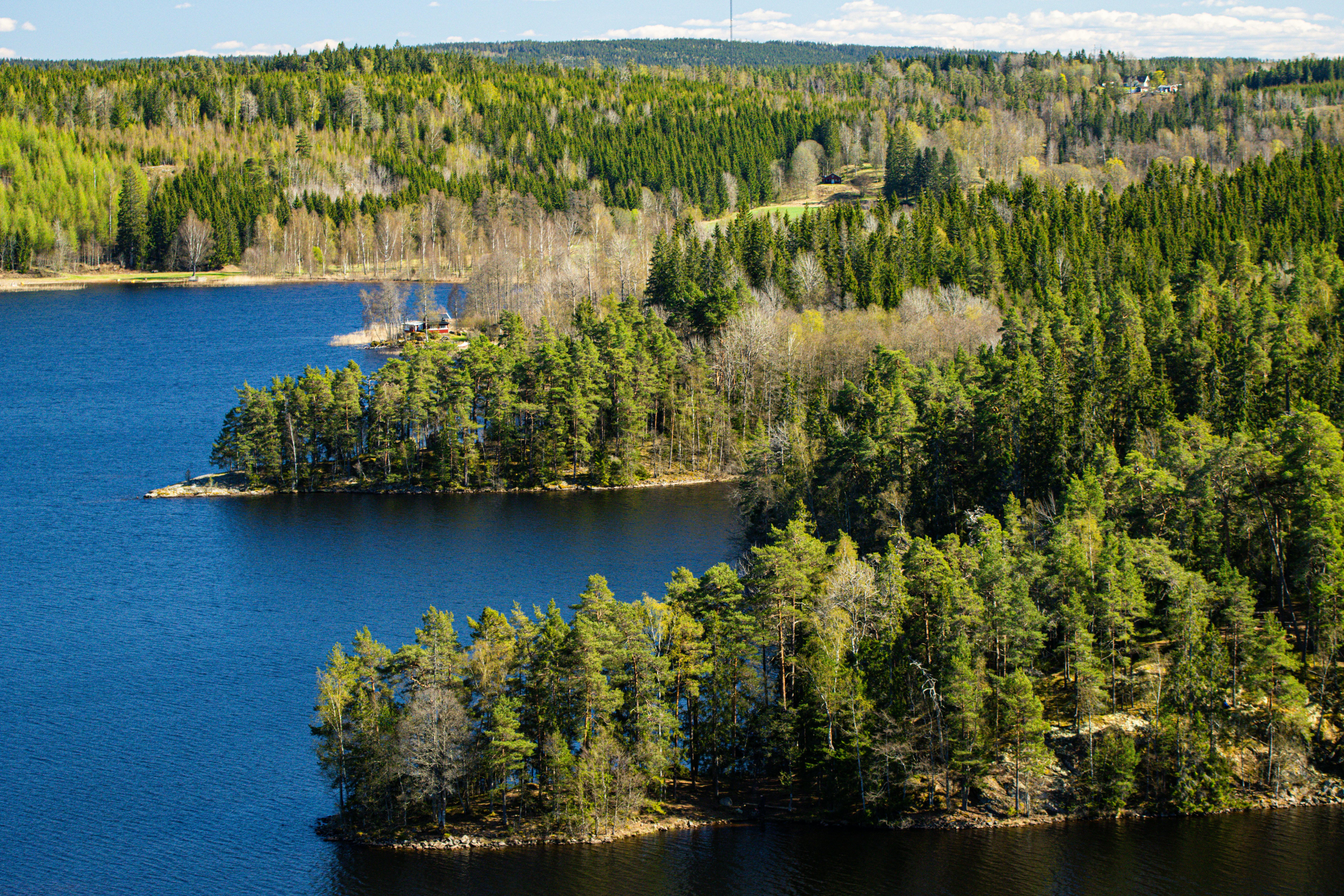 Scenic Lake View in Tenhult, Sweden · Free Stock Photo
