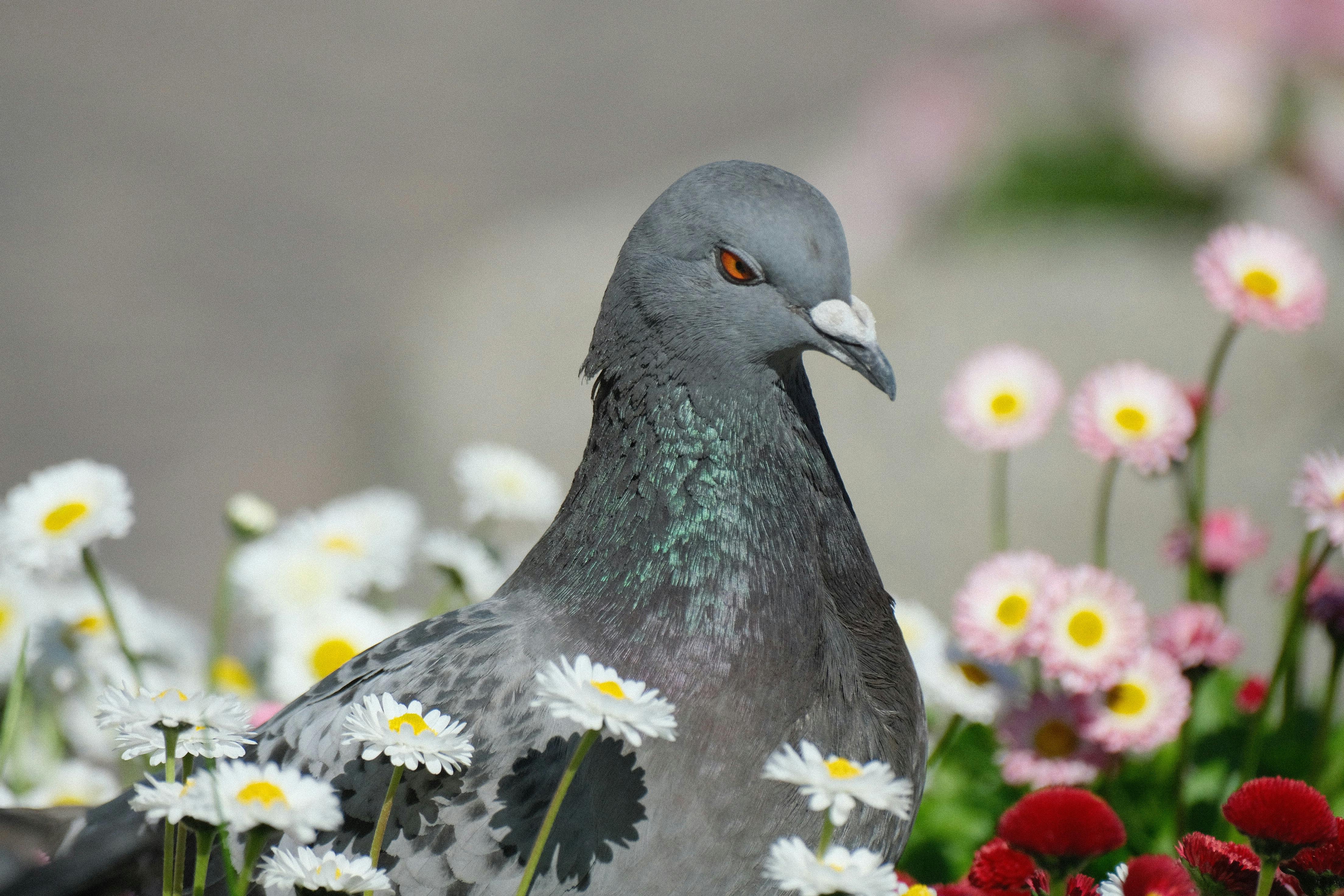 Techy Background Photos, Download The BEST Free Techy Background Stock ...