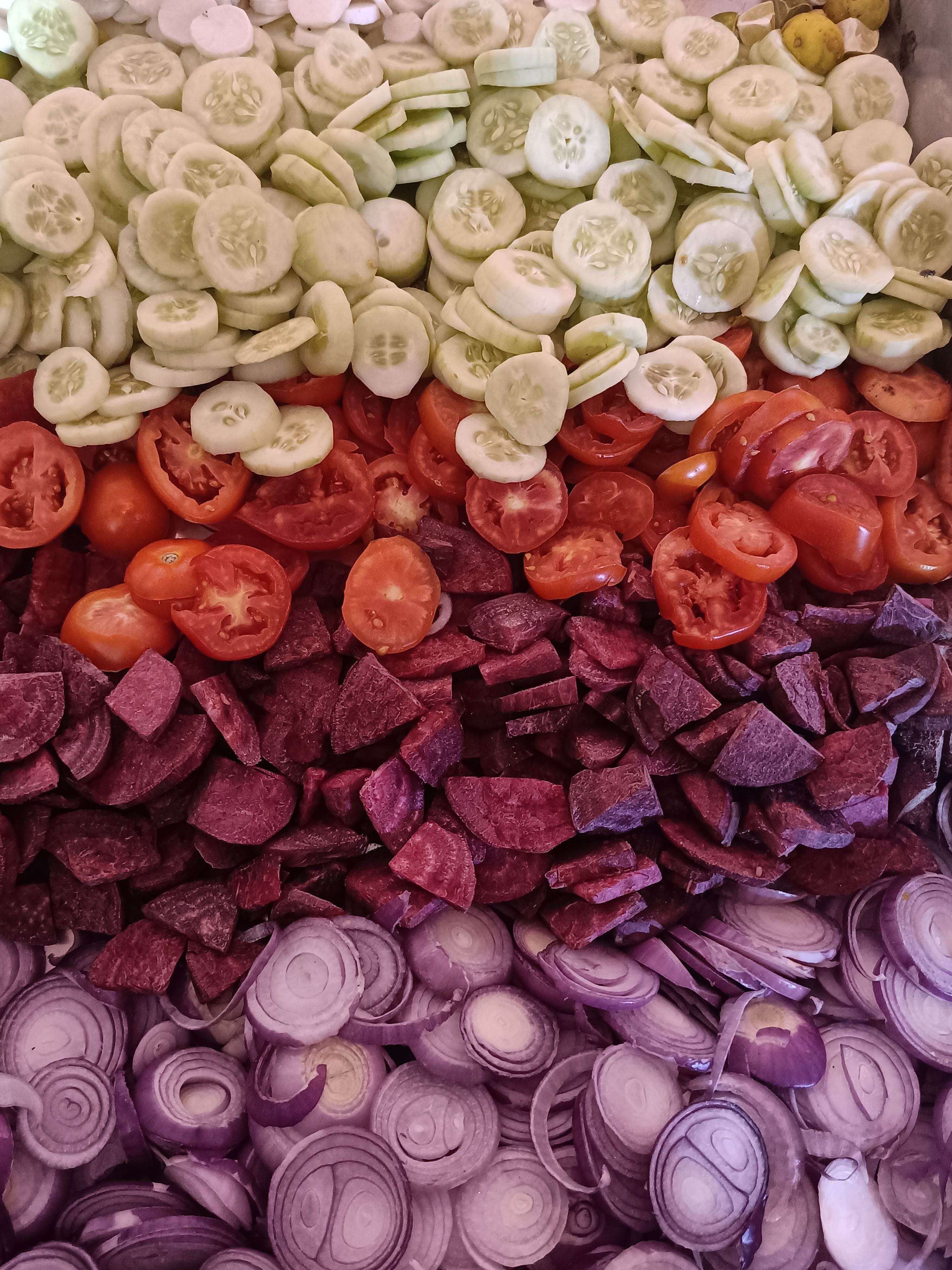 Colorful Vegetable Slices in Layers · Free Stock Photo