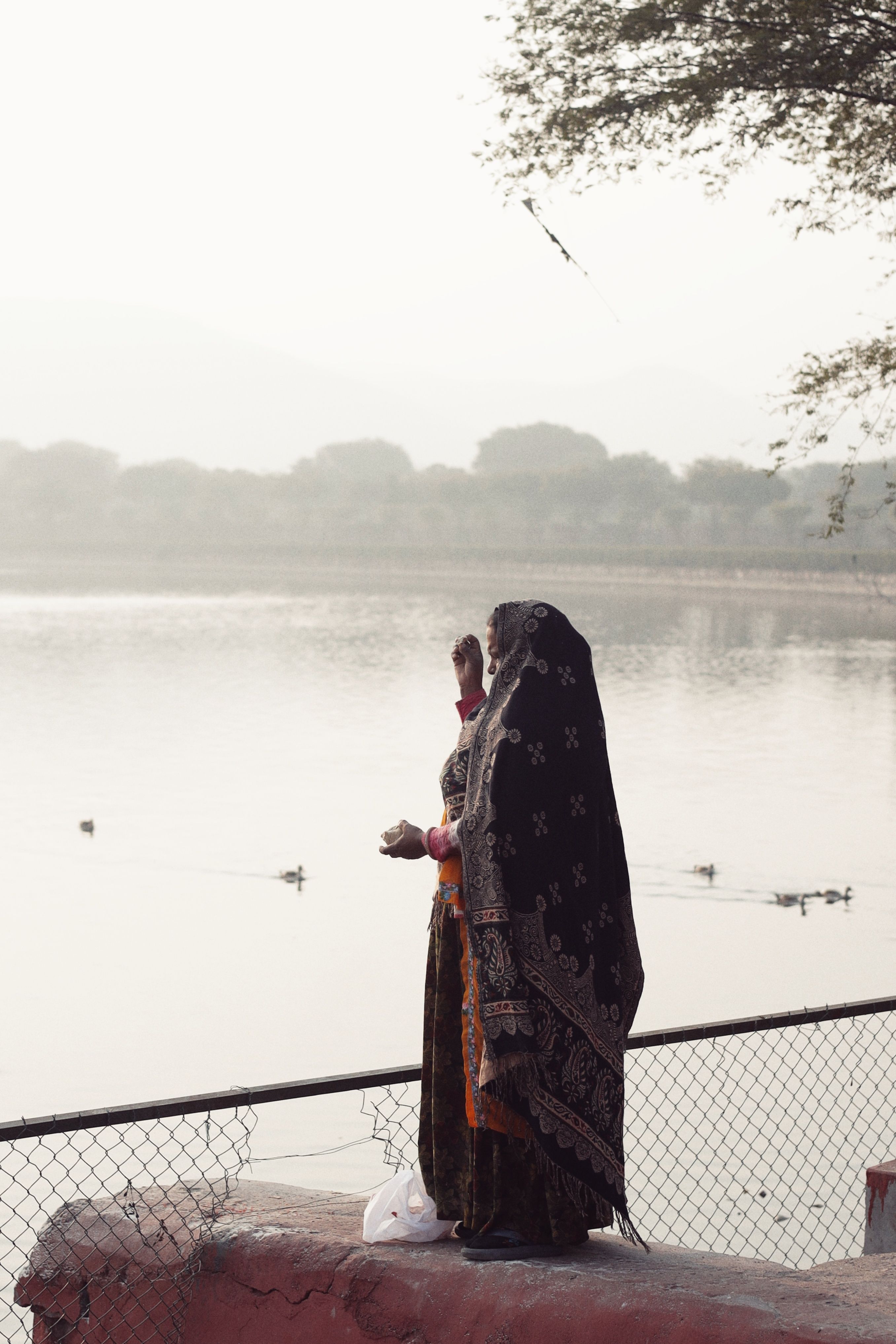 Rich Pond Photos, Download The BEST Free Rich Pond Stock Photos & HD Images