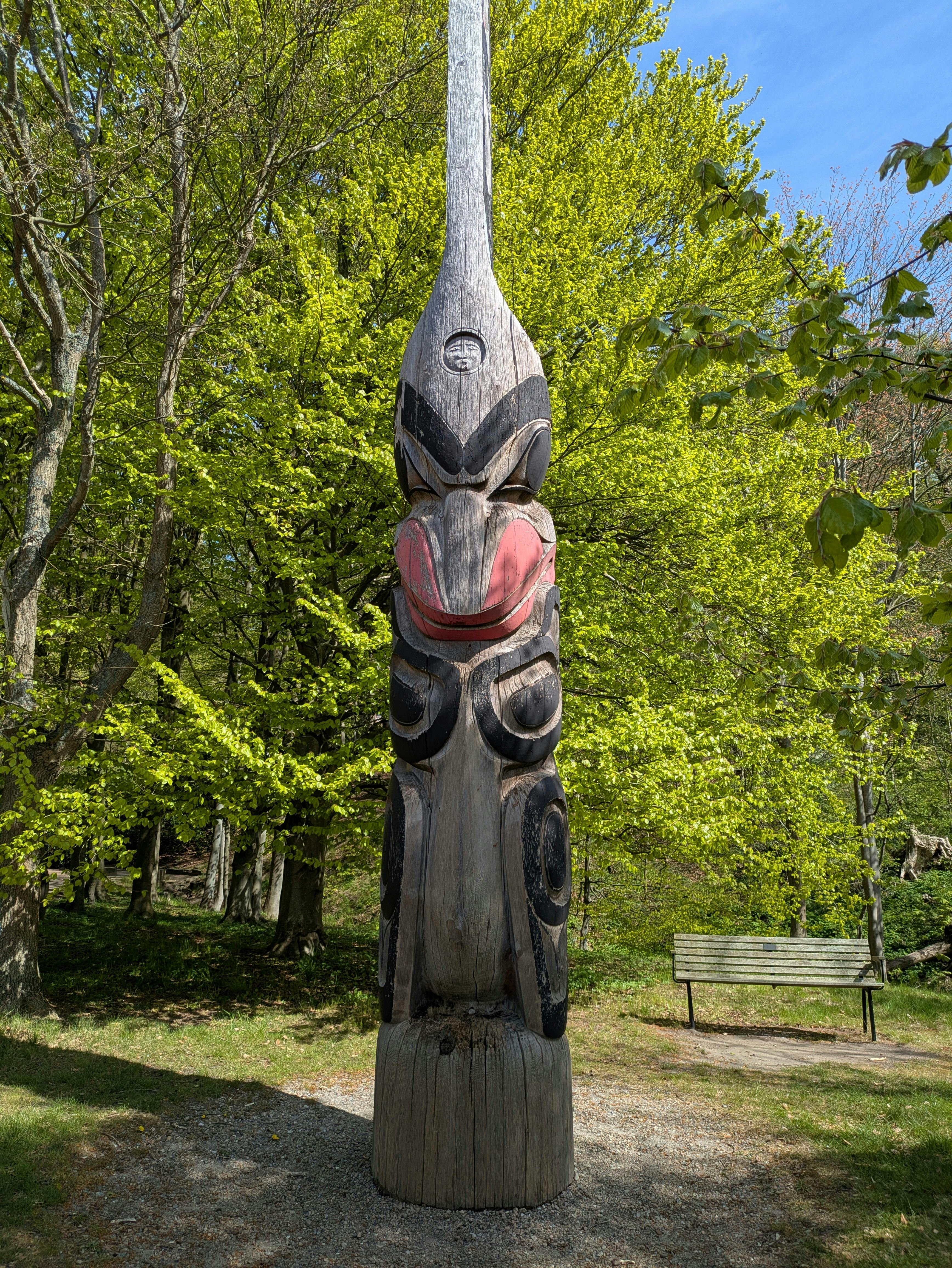 Real Tribes Photos, Download The BEST Free Real Tribes Stock Photos ...