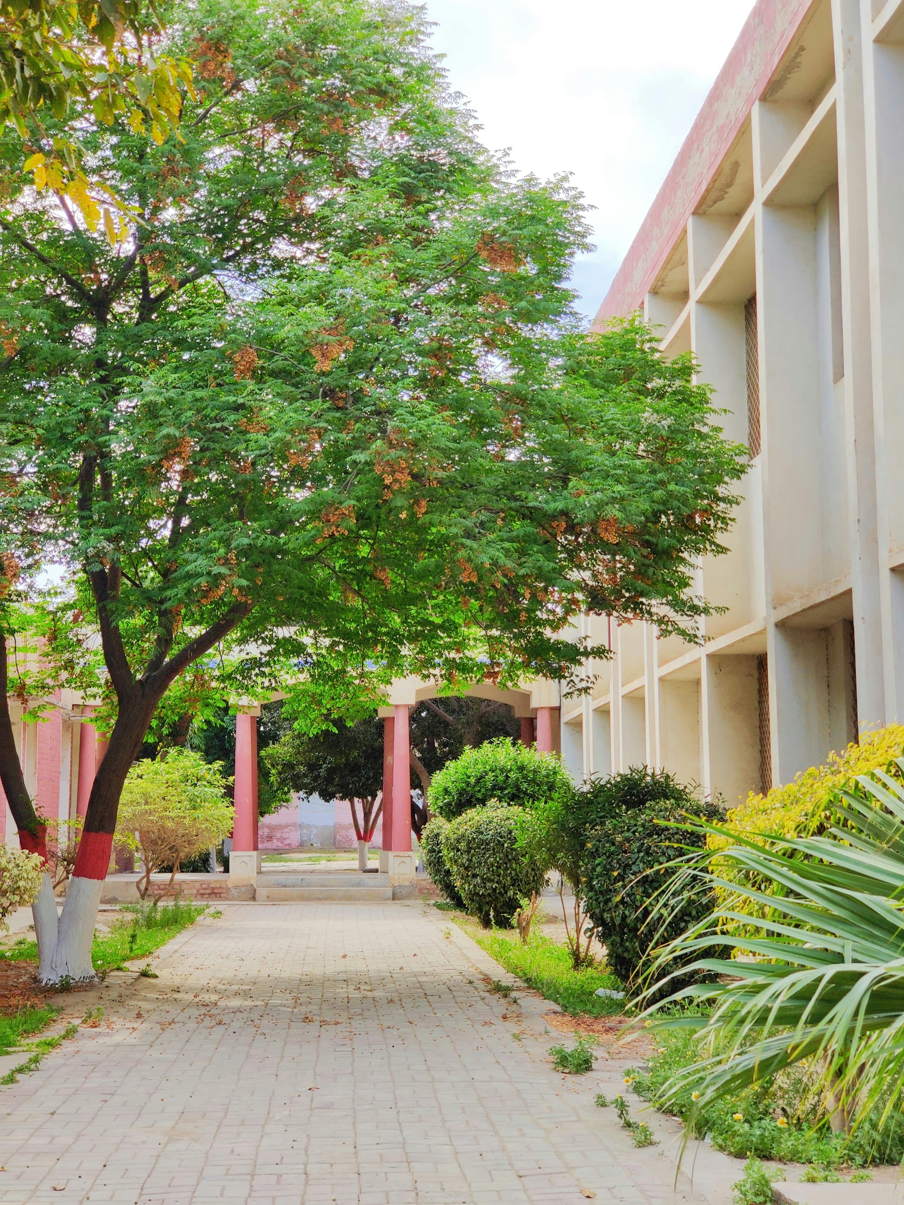 Refreshing Photos, Download The BEST Free Refreshing Stock Photos & HD ...