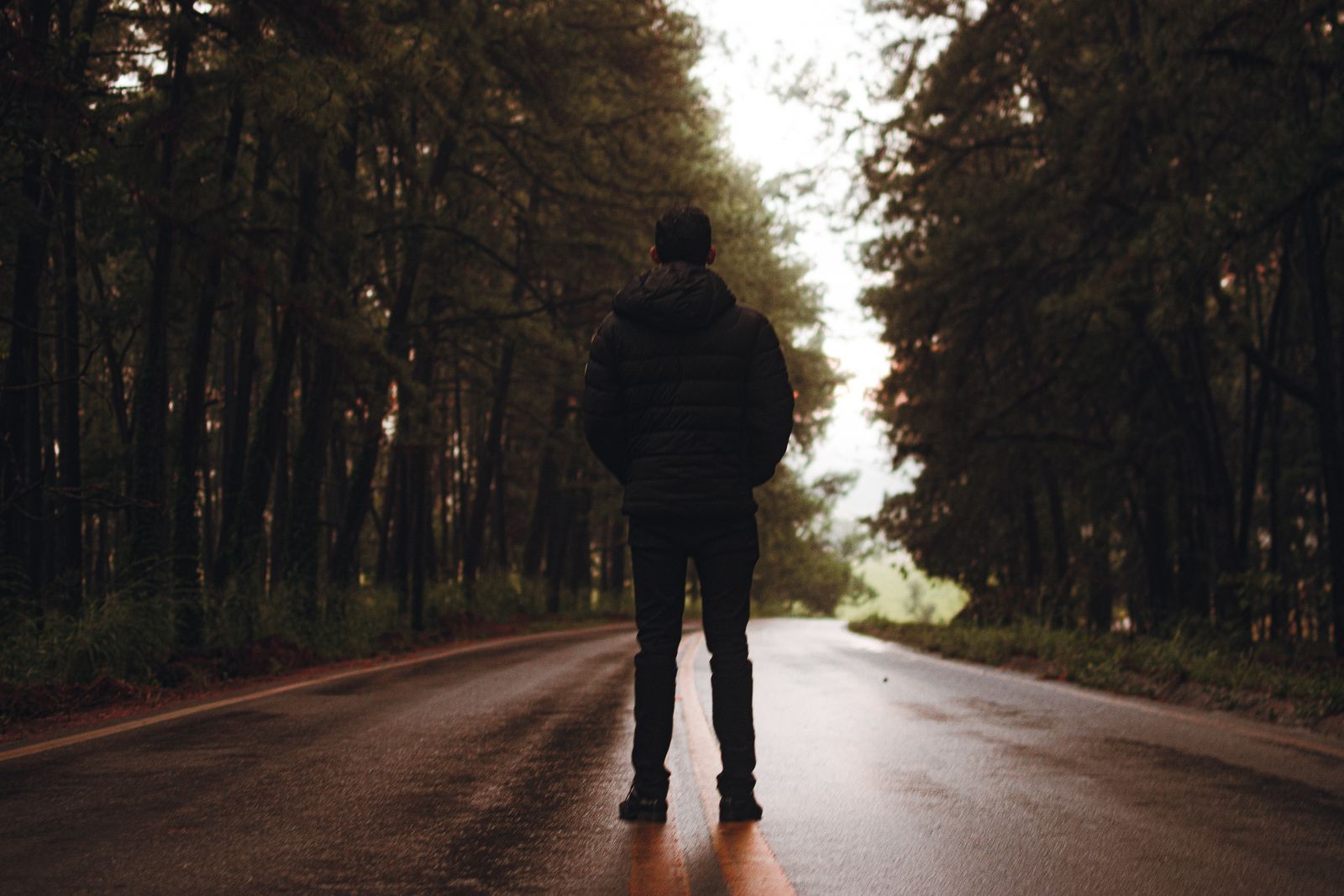 Man Walking Forest Photos, Download The BEST Free Man Walking Forest ...