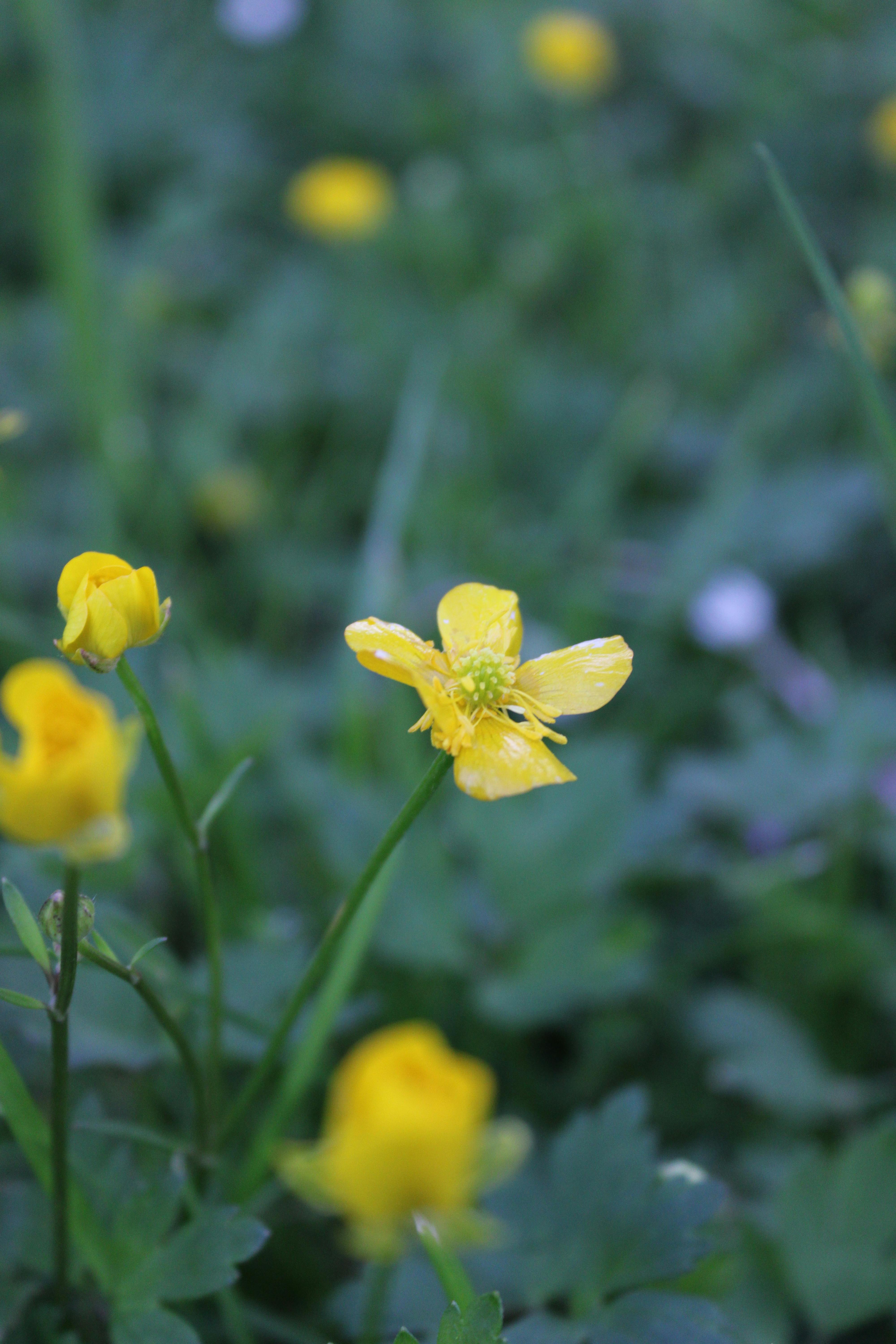 Martha+Woller+Pics Photos, Download The BEST Free Martha+Woller+Pics ...