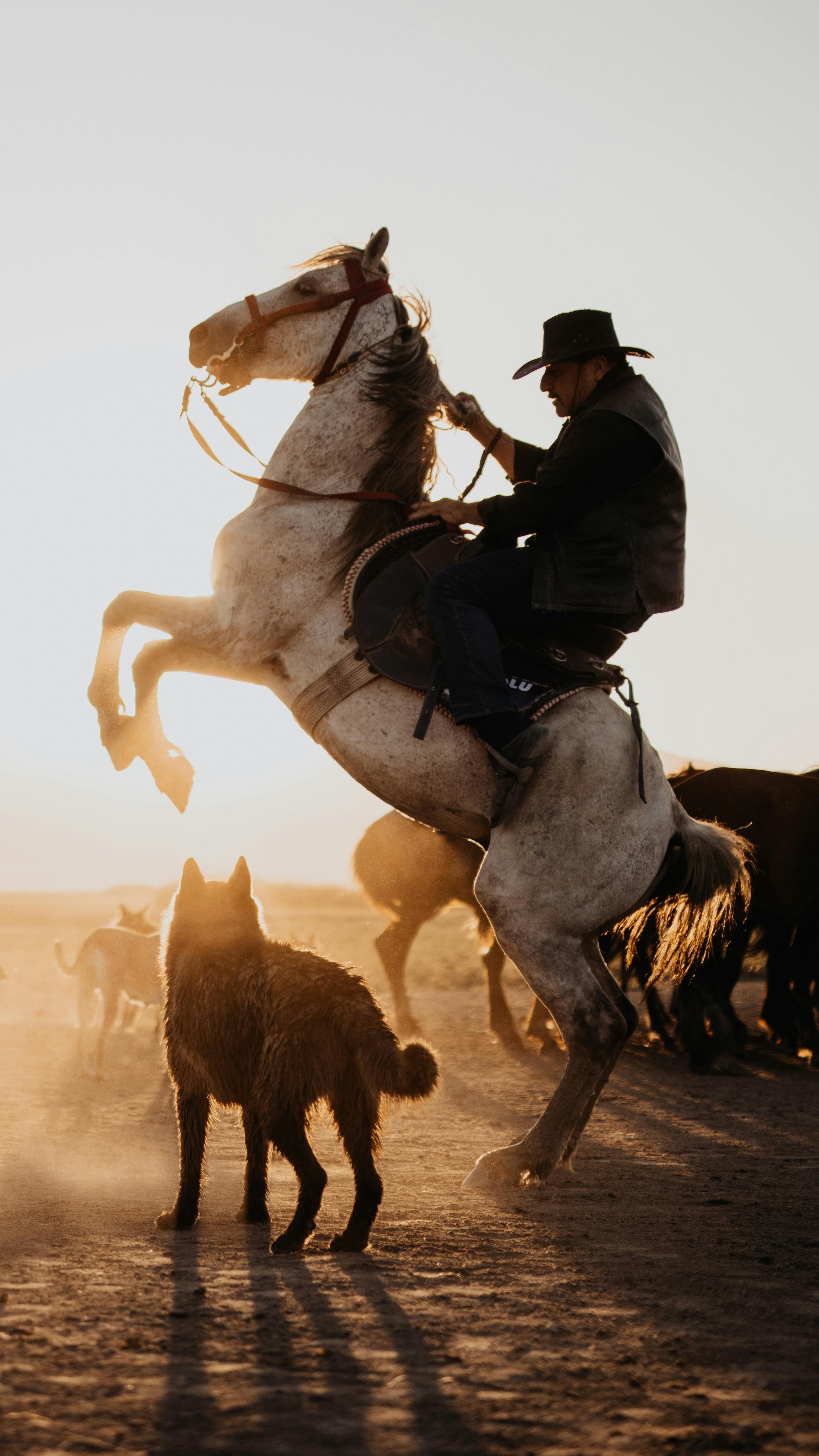 Foto de stock gratuita sobre al aire libre, aventura al aire libre ...