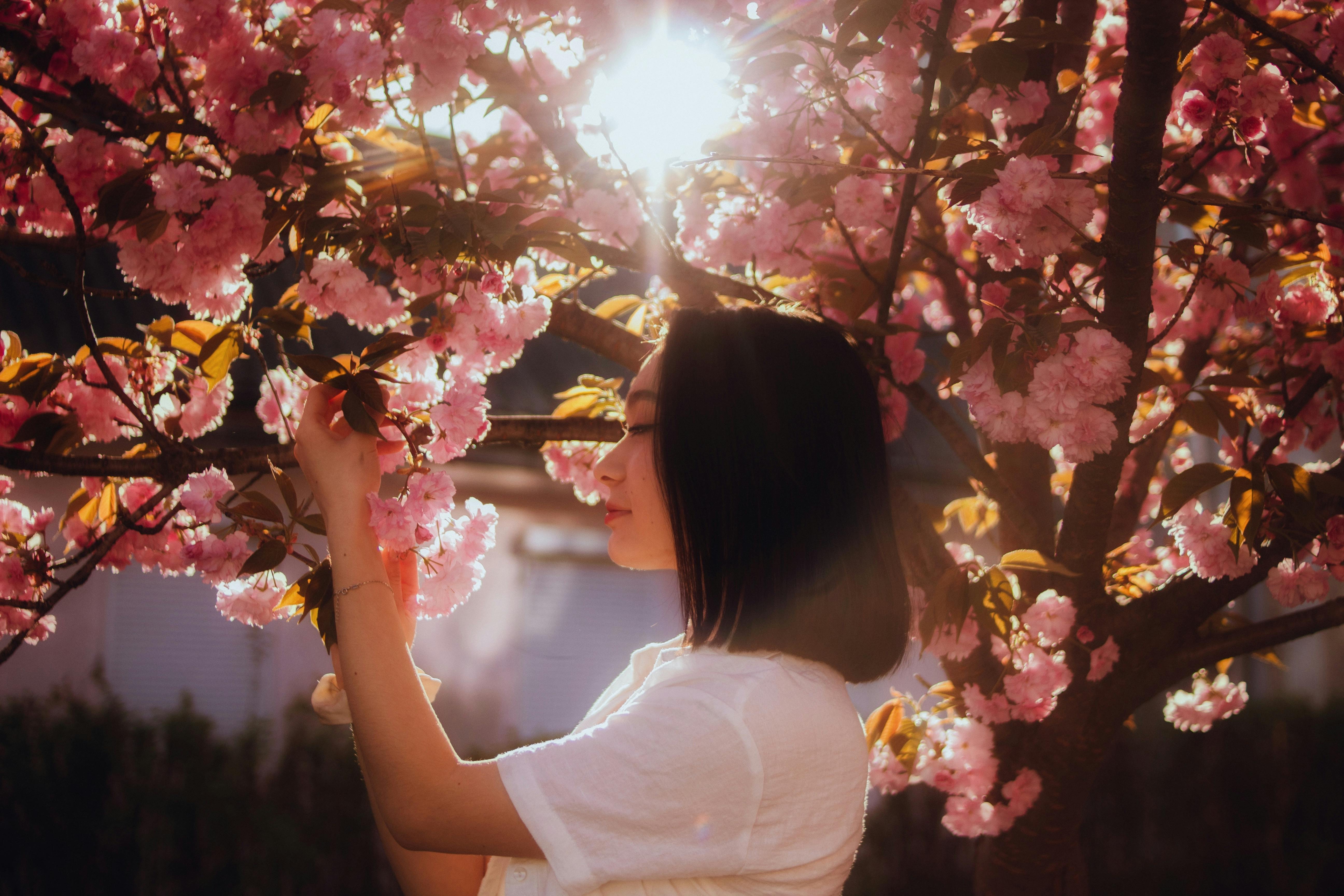 Spring Season Photos, Download The BEST Free Spring Season Stock Photos ...