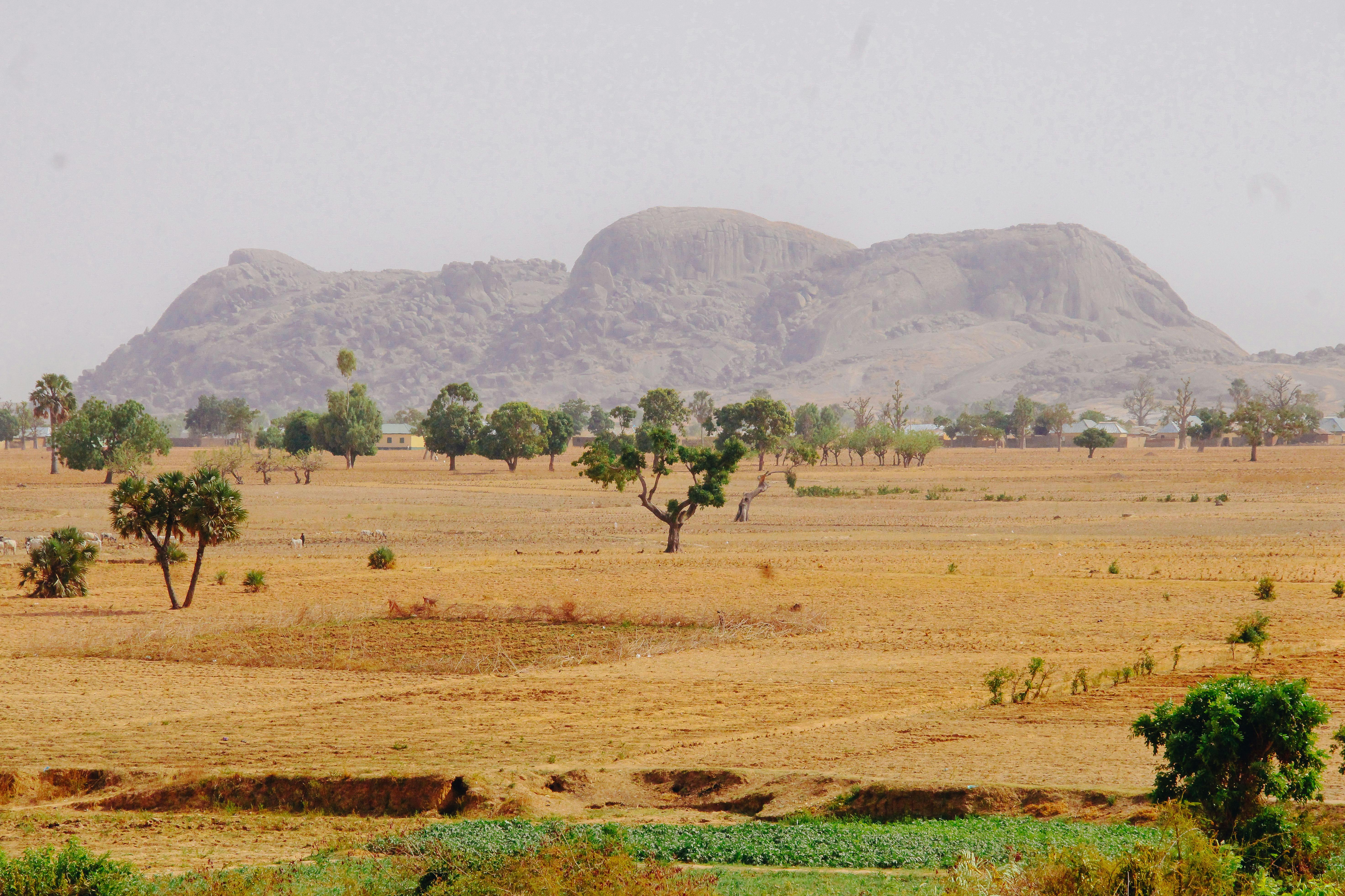 Savannah Landscape in Zaria, Nigeria · Free Stock Photo