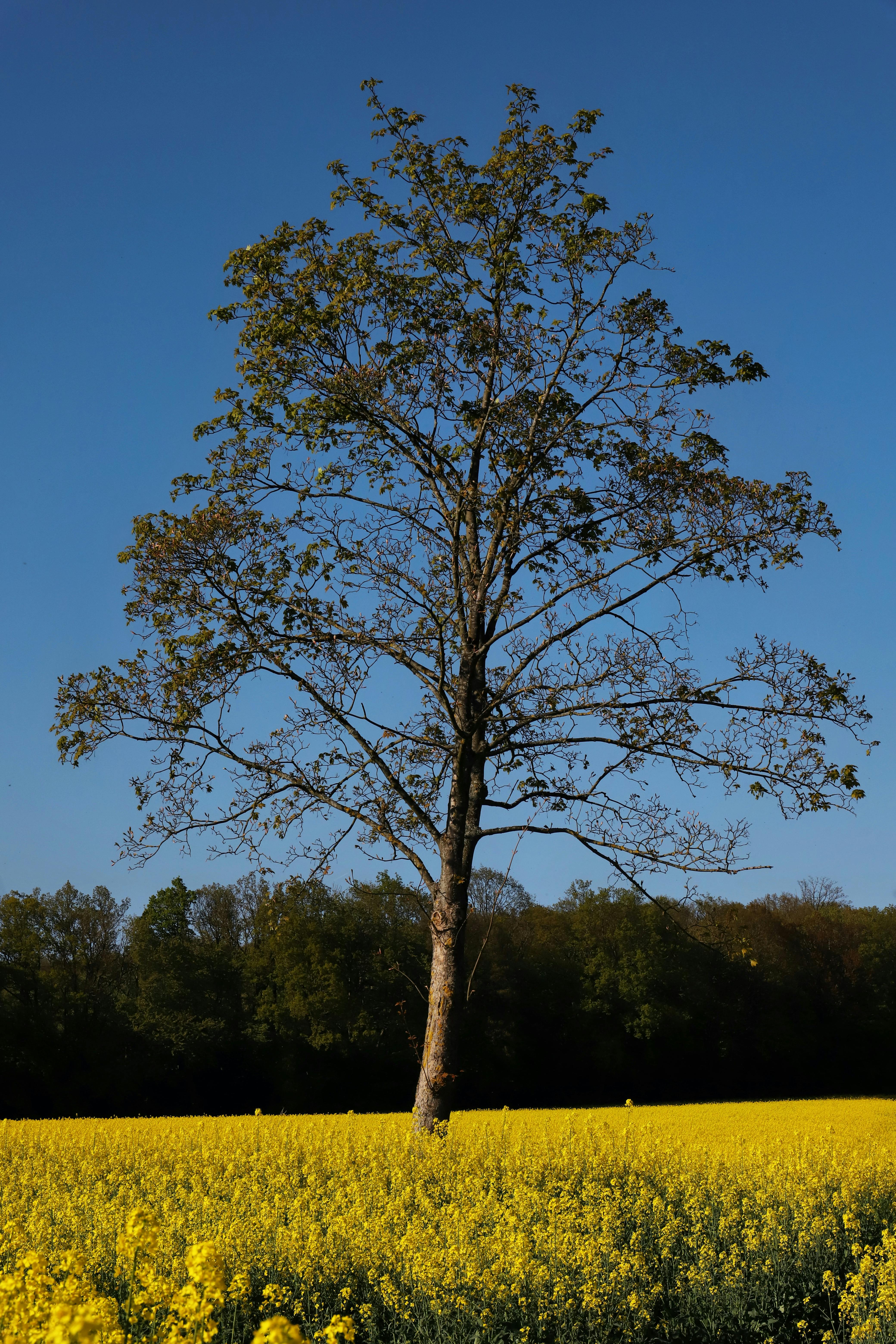 Wals+Tpi+Miniseries Photos, Download The BEST Free Wals+Tpi+Miniseries ...