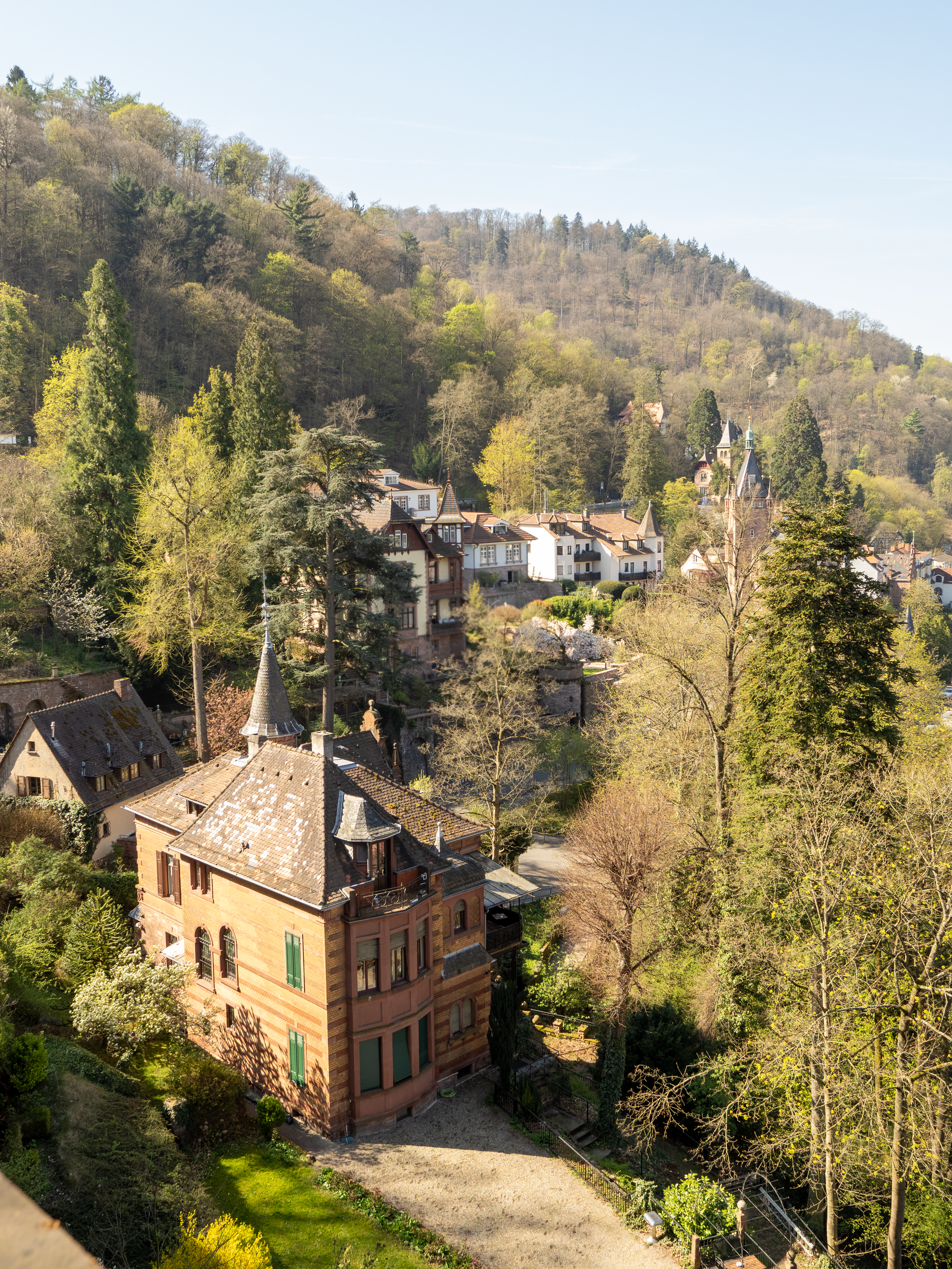 Picturesque View of Heidelberg Hillside Homes · Free Stock Photo