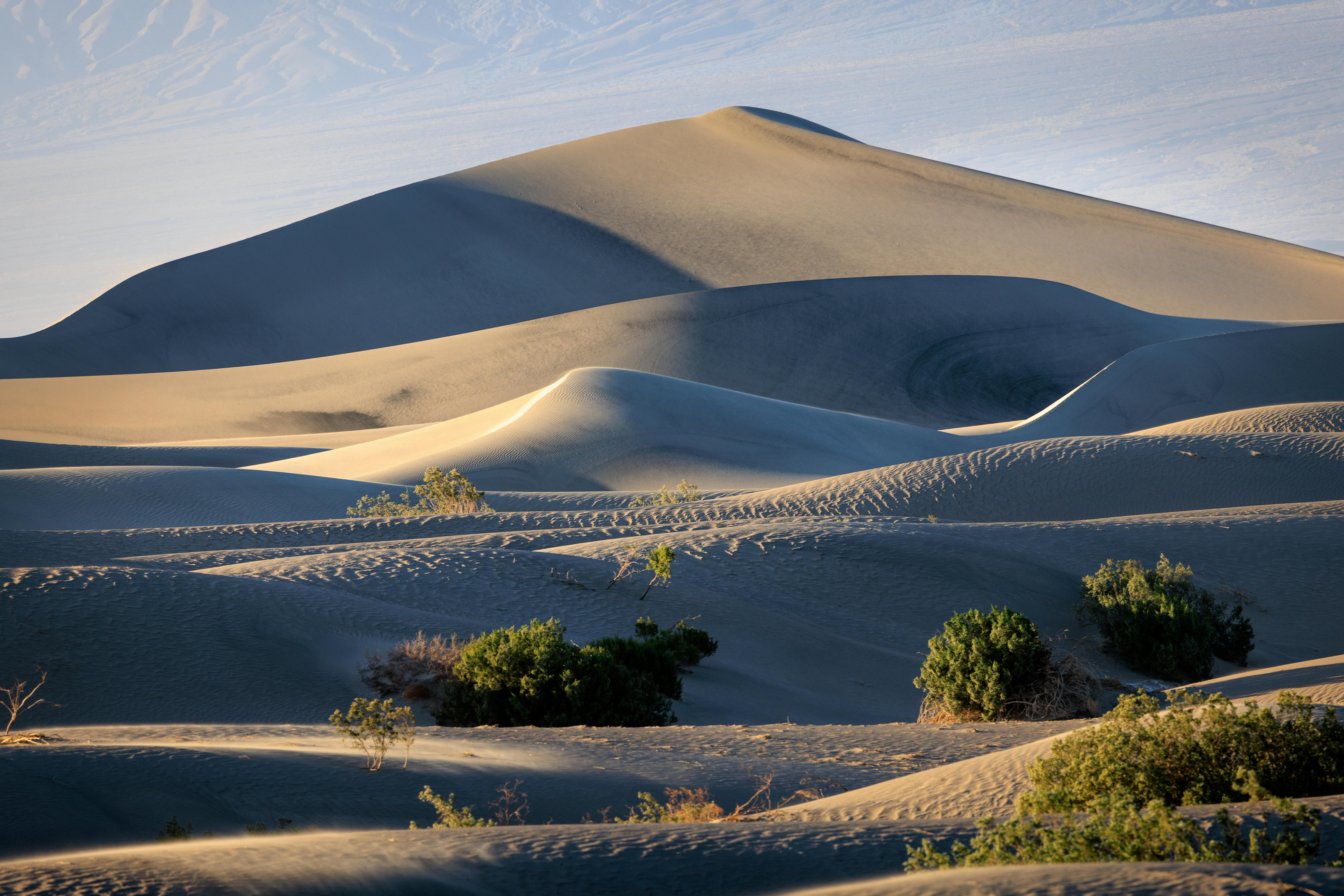 Raw Nature Photography Photos, Download The BEST Free Raw Nature ...