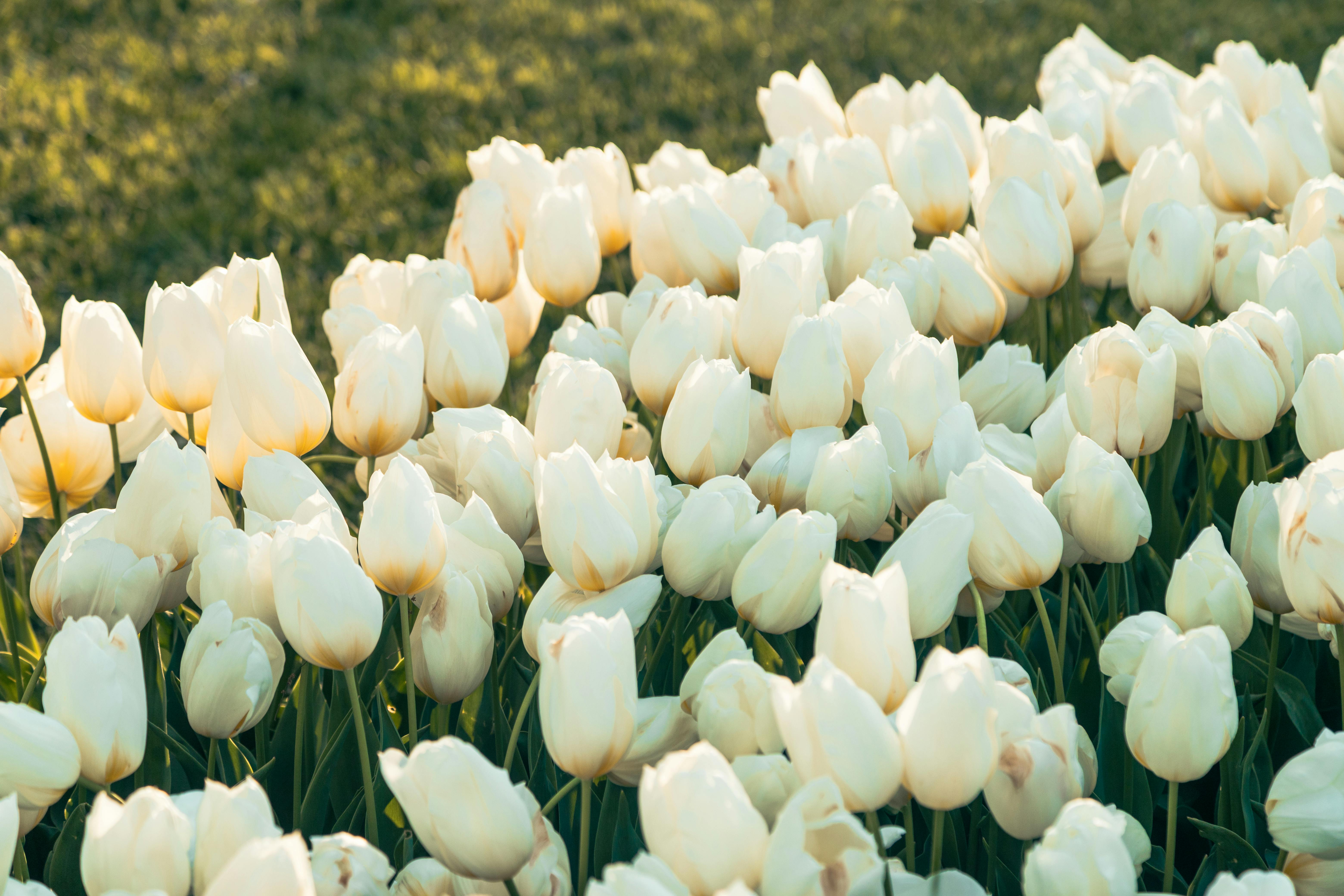 Tushy+Full+Videis Photos, Download The BEST Free Tushy+Full+Videis ...