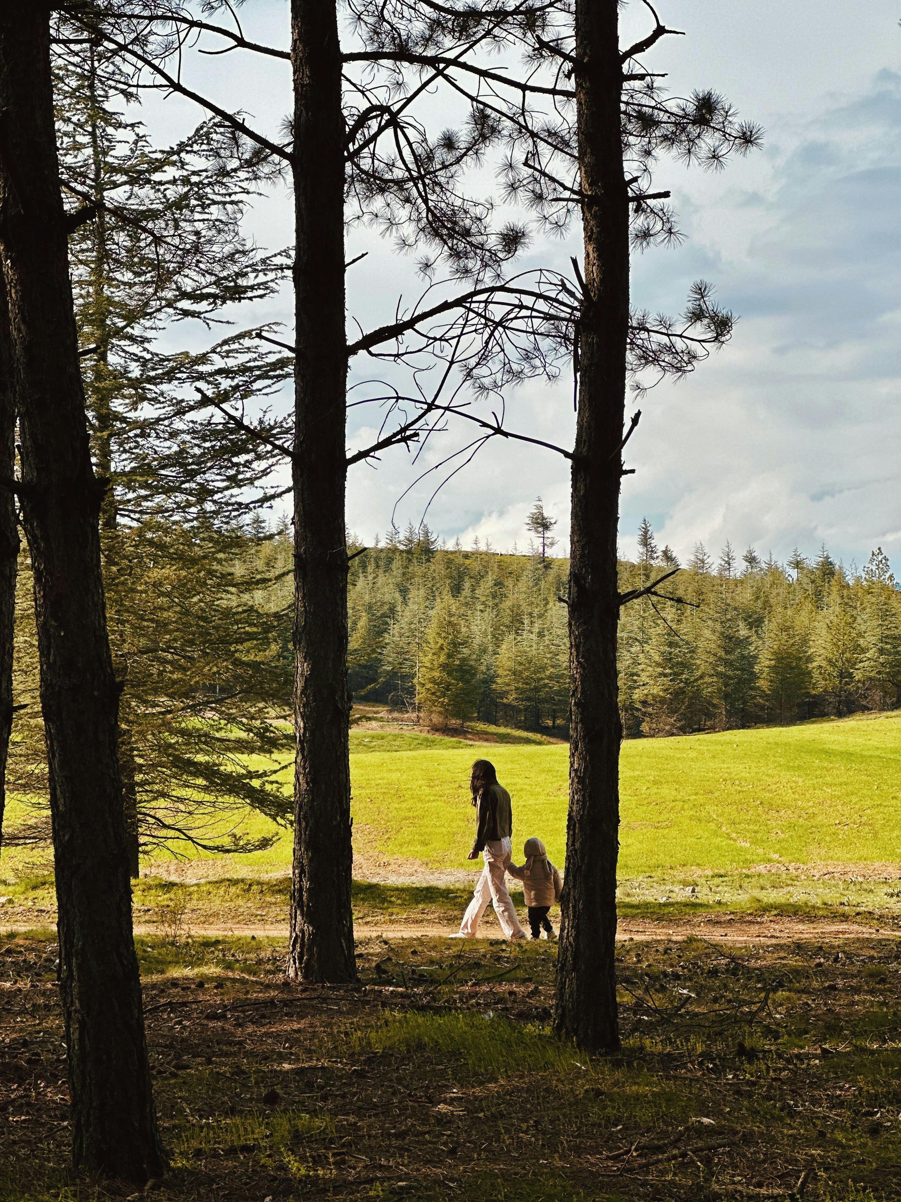 Bokep Jepang Mama Photos, Download The BEST Free Bokep Jepang Mama Stock Photos & HD Images