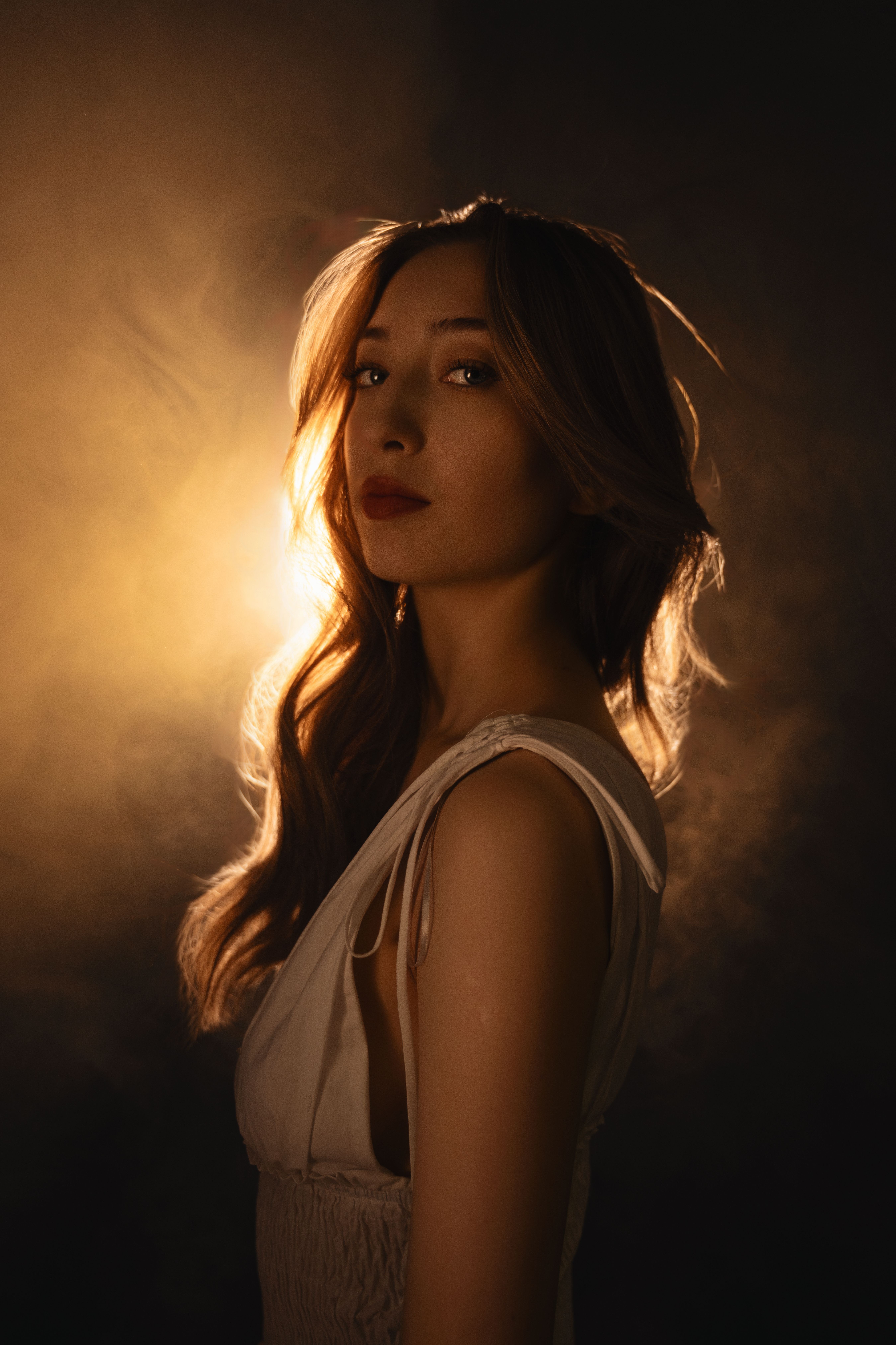 Elegant Portrait of a Woman with Golden Backlighting · Free Stock Photo