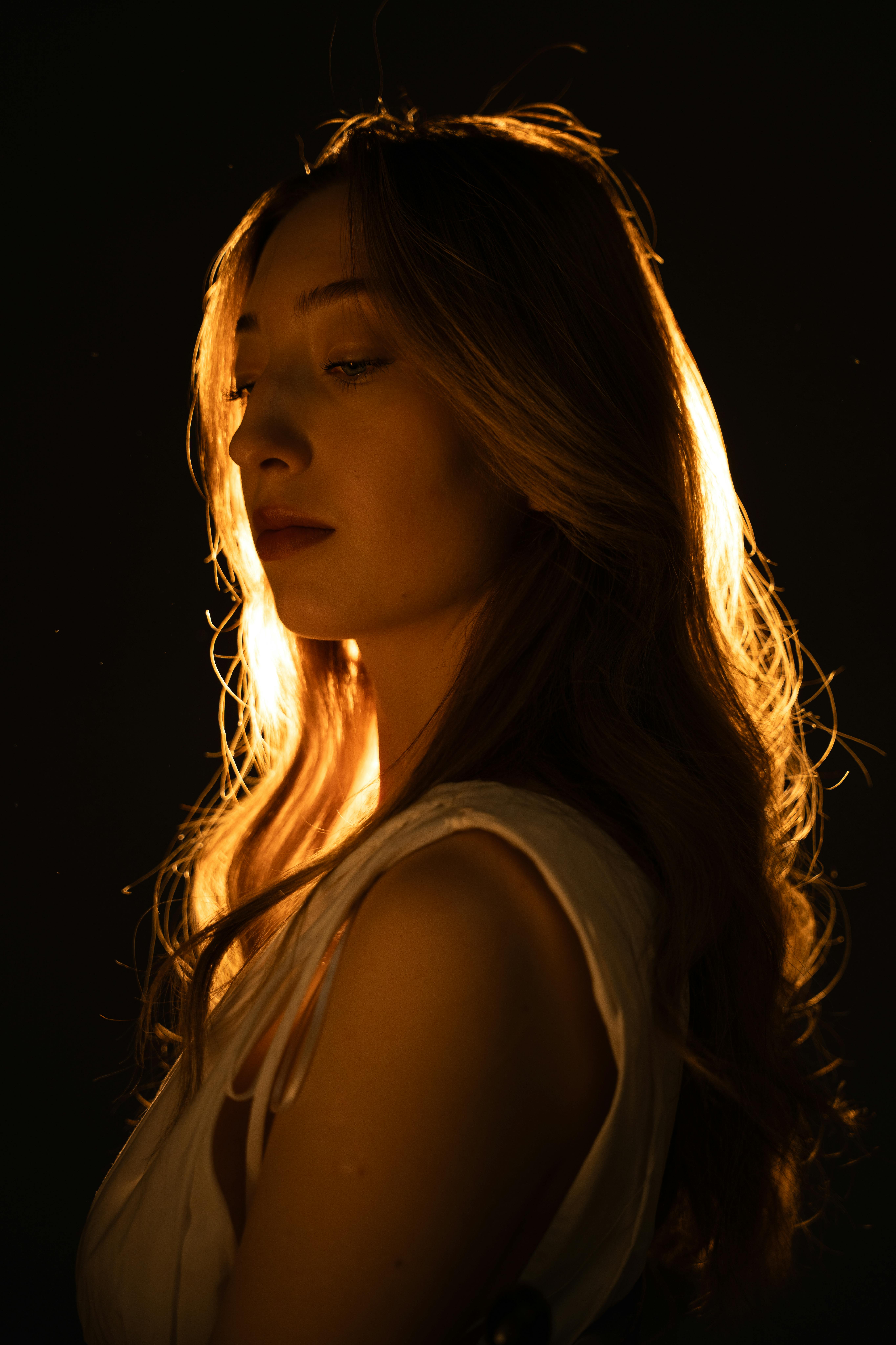 Elegant Portrait of Woman with Backlighting · Free Stock Photo