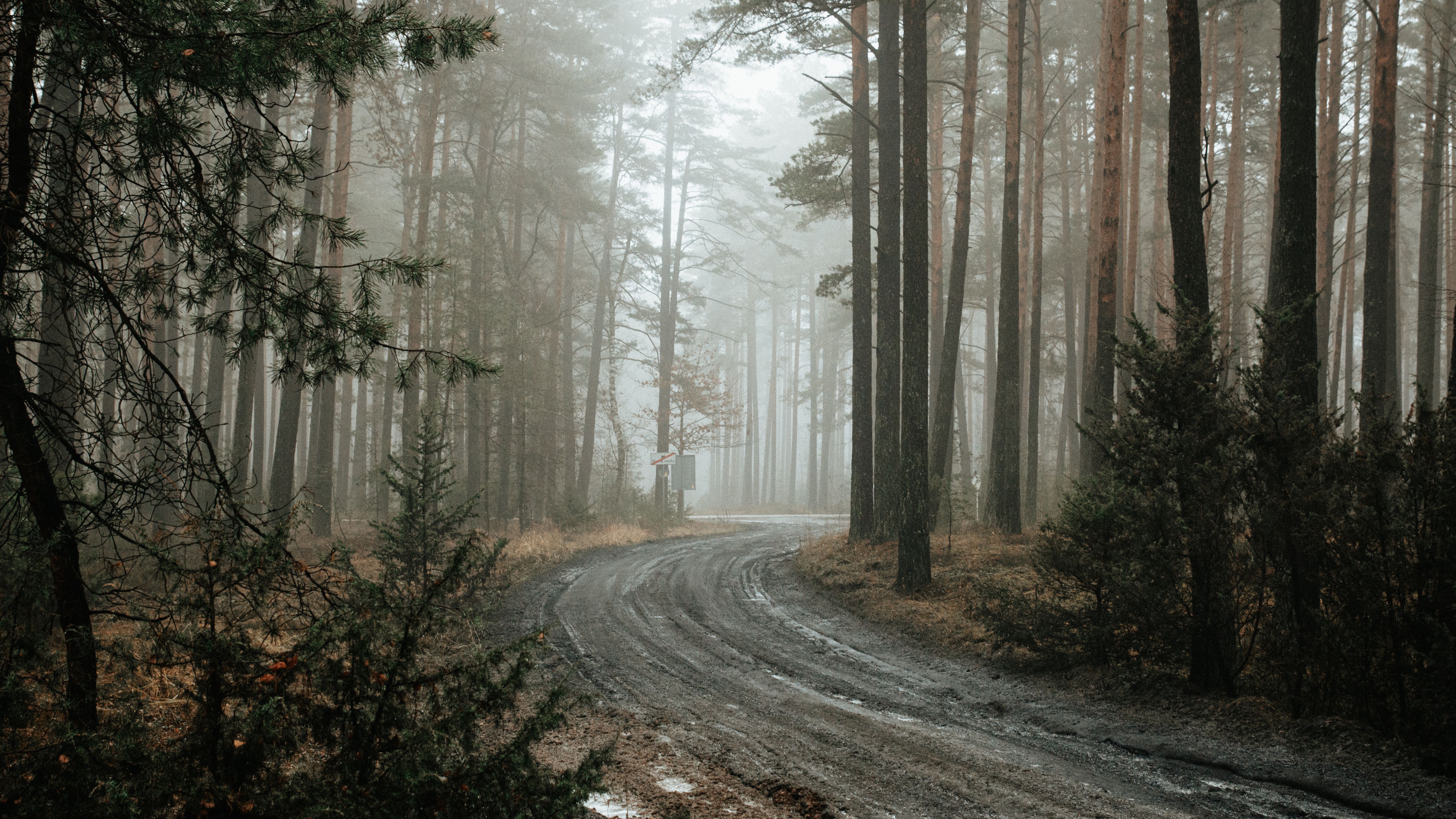 Bocznica Damp Photos, Download The BEST Free Bocznica Damp Stock Photos ...