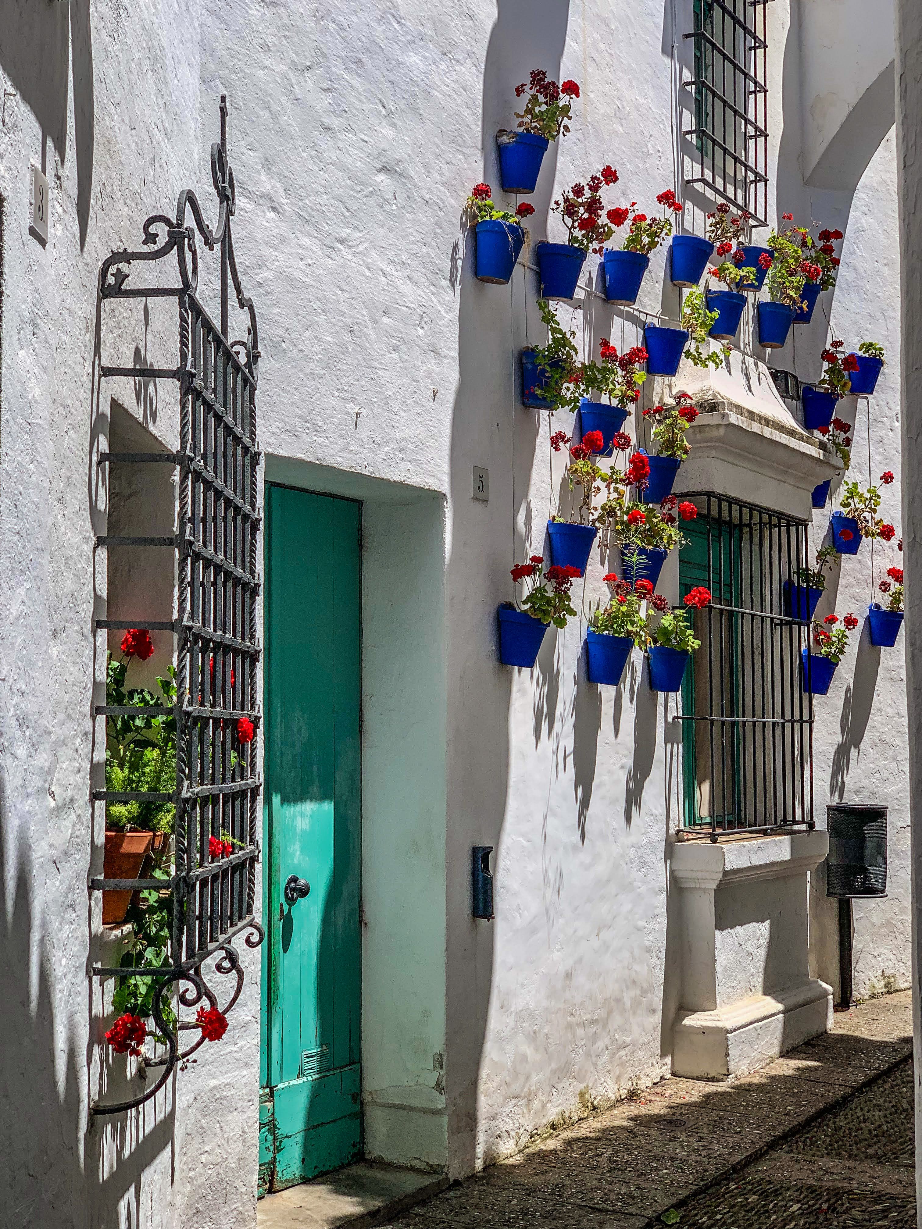 Pared Encalada Con Flores De Colores En Macetas · Foto de stock gratuita