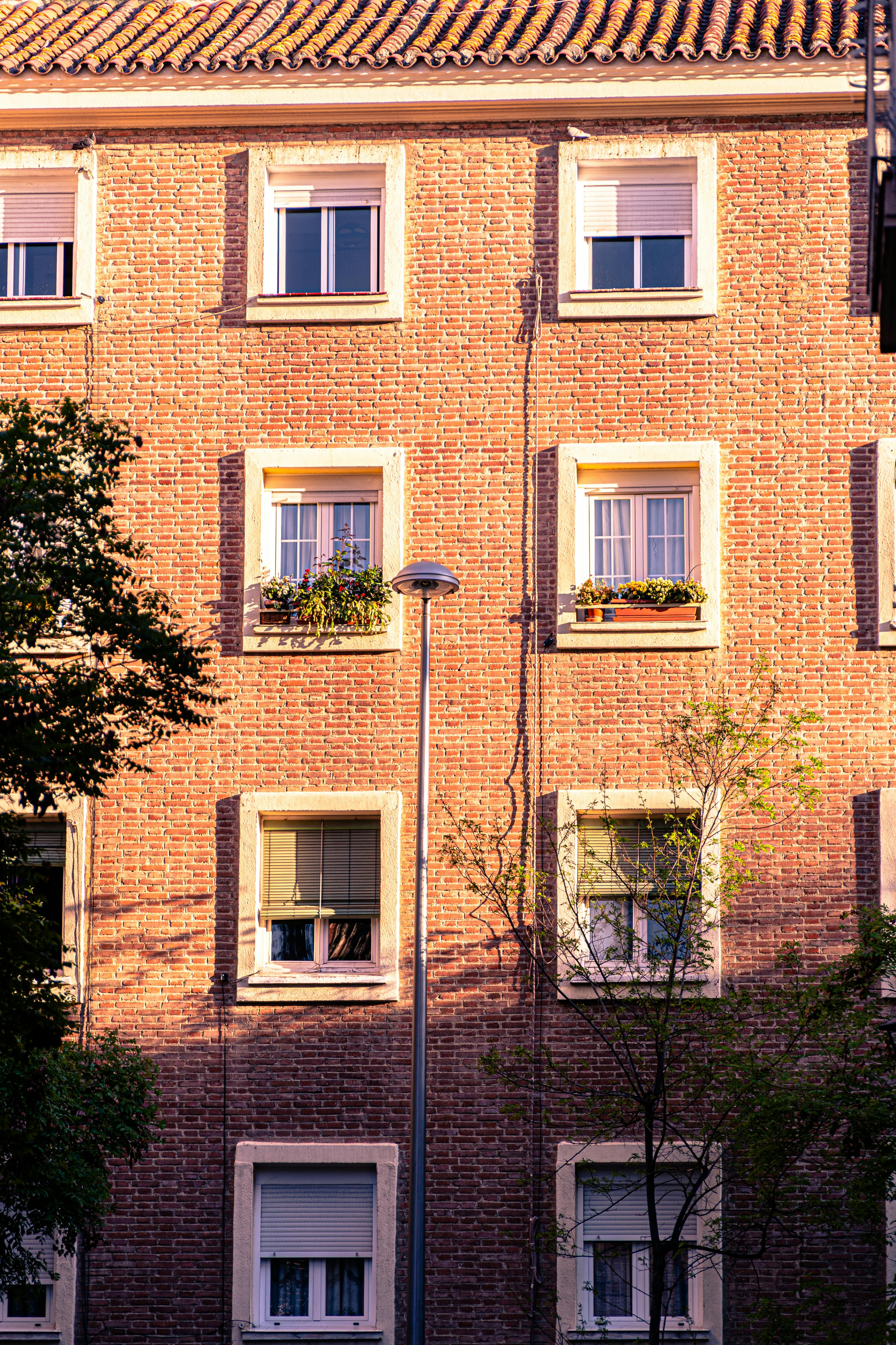 Mid Century Building Photos, Download The BEST Free Mid Century ...