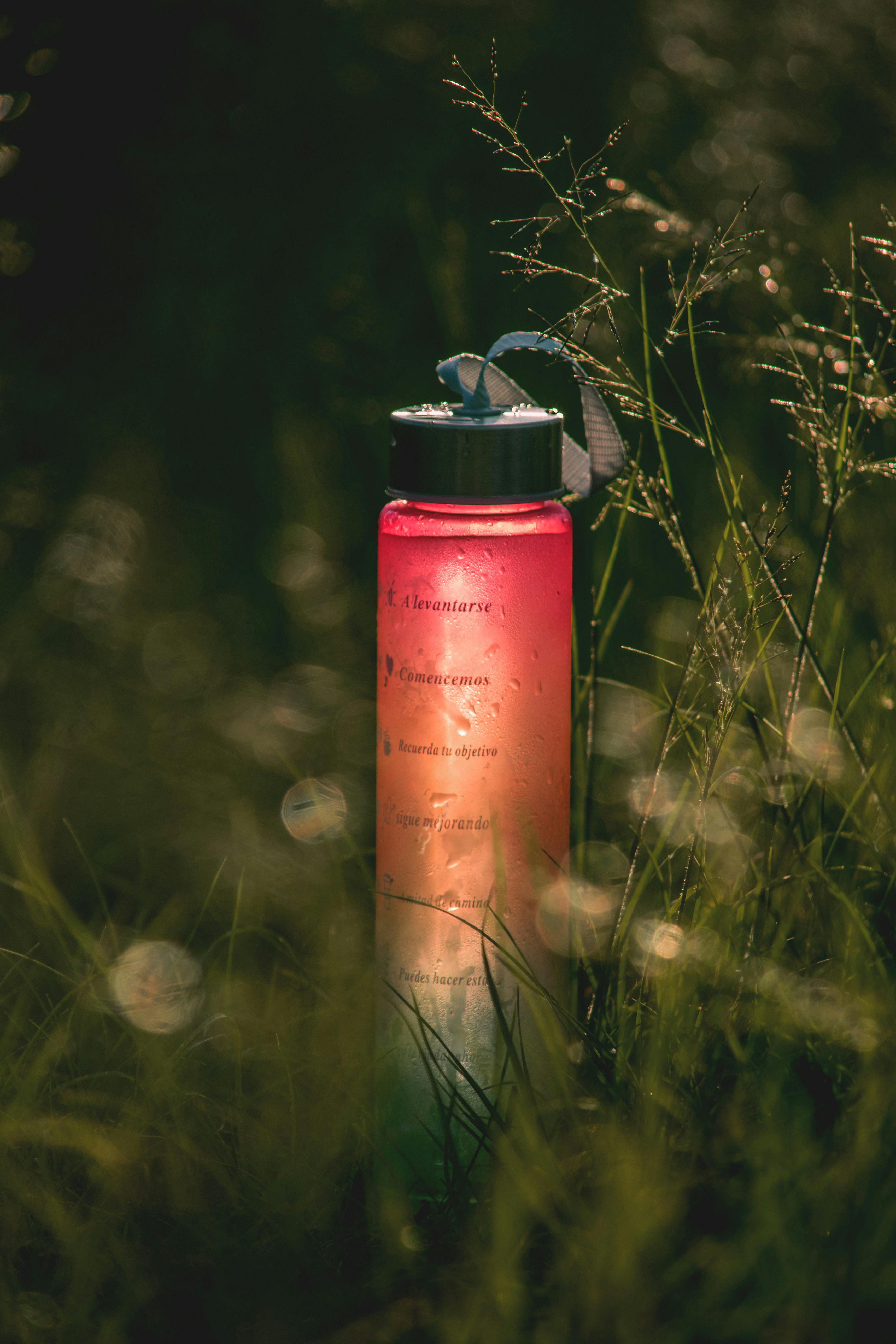 Lush Textures Photos, Download The BEST Free Lush Textures Stock Photos ...