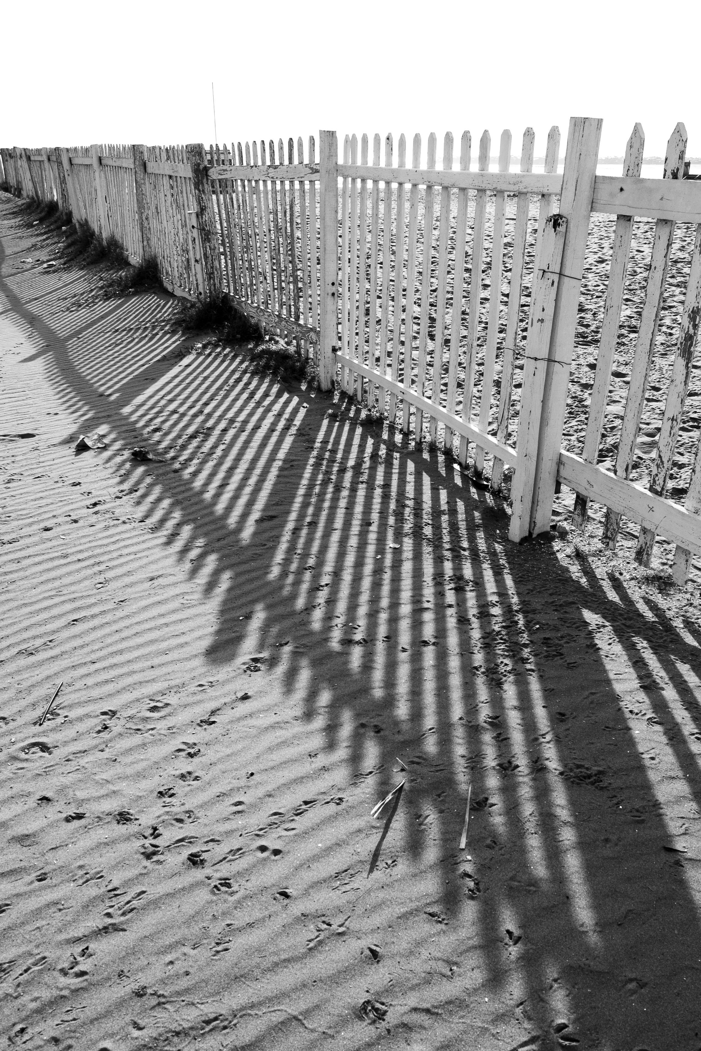 Black and White Beach Fence Shadows Photography · Free Stock Photo