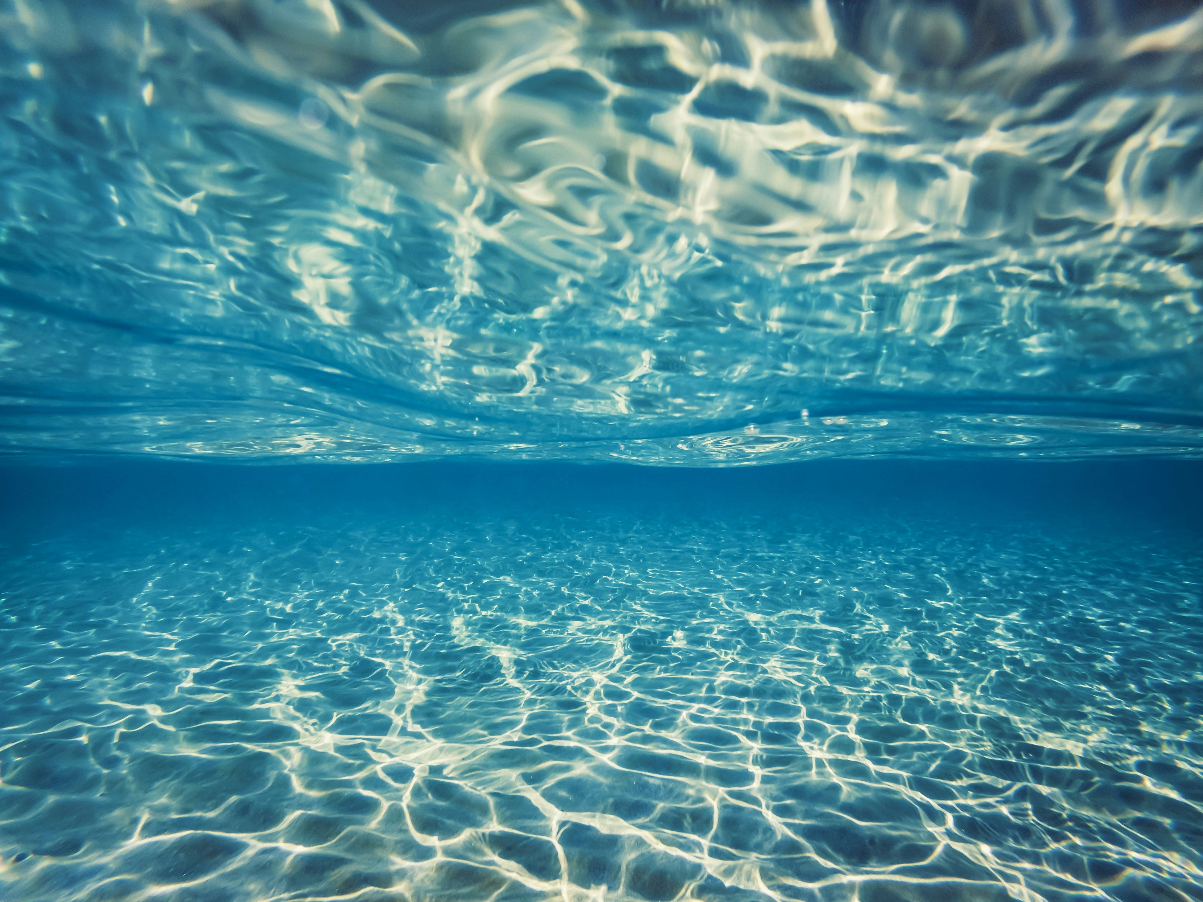 Underwater Ocean Surface with Sunlight Reflections · Free Stock Photo