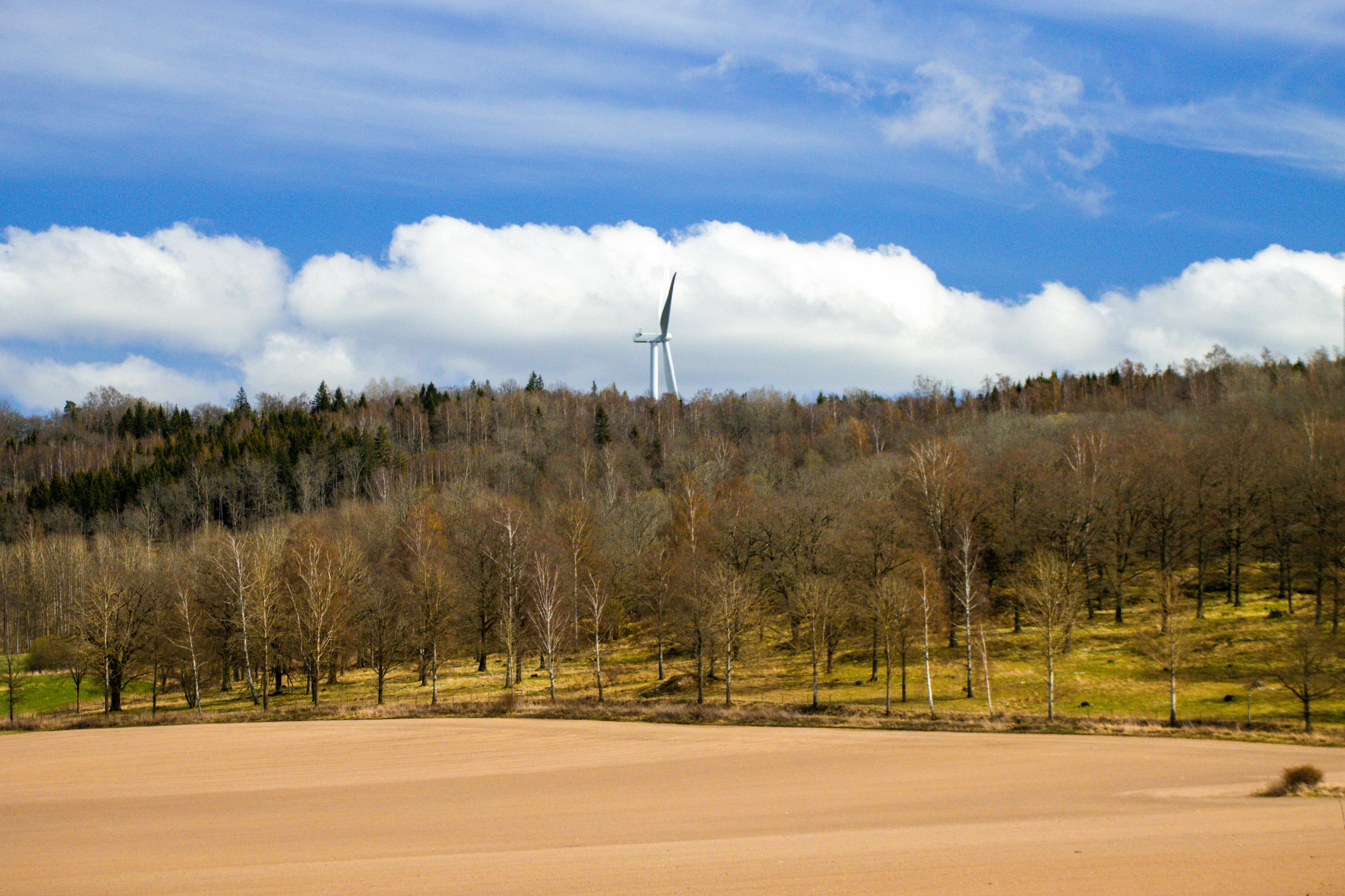 Microsoft+2025+ดาวน์โหลดฟรี Photos, Download The BEST Free Microsoft+ ...