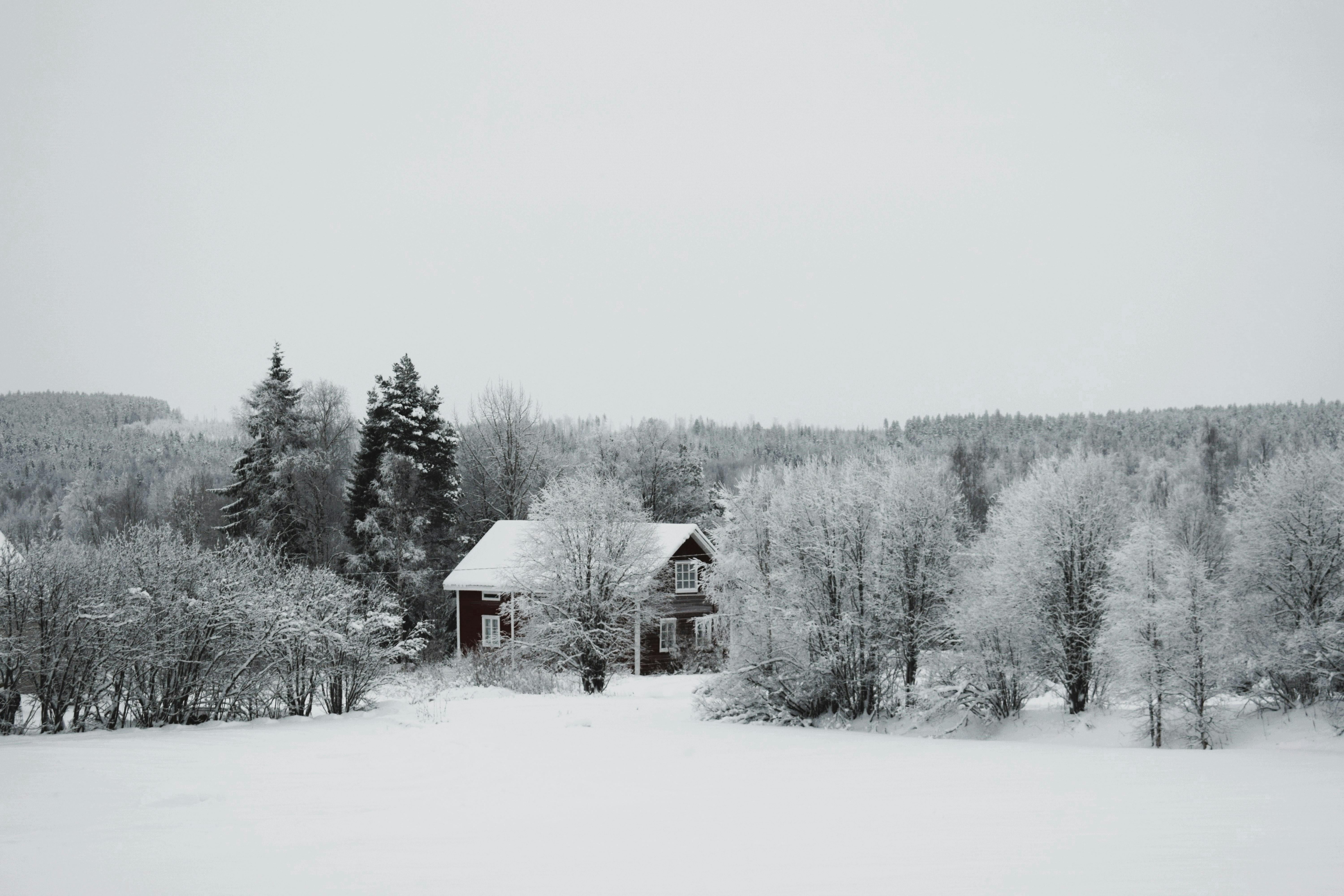 February Photos, Download The BEST Free February Stock Photos & HD Images