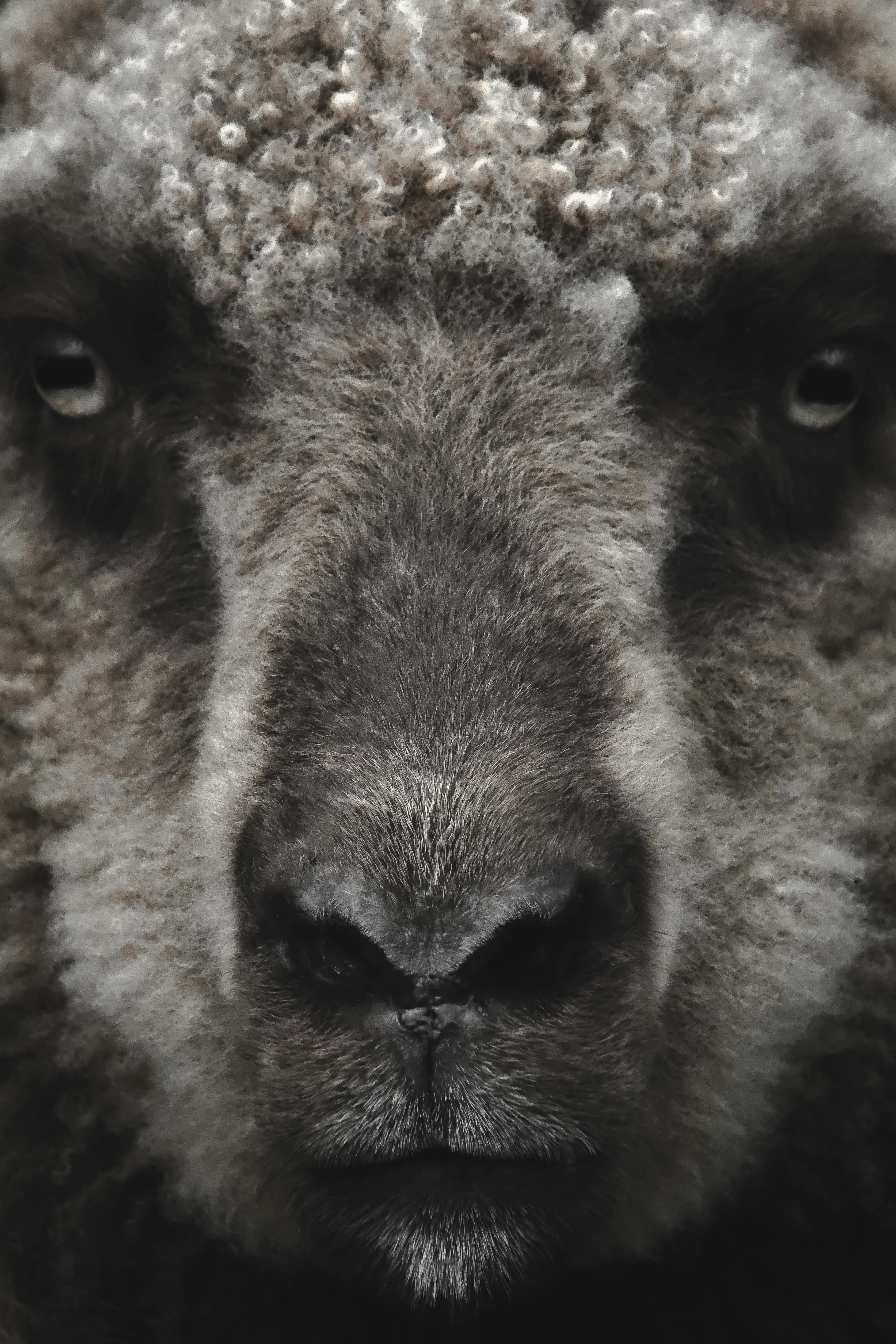 Farm Texture Photos, Download The BEST Free Farm Texture Stock Photos ...