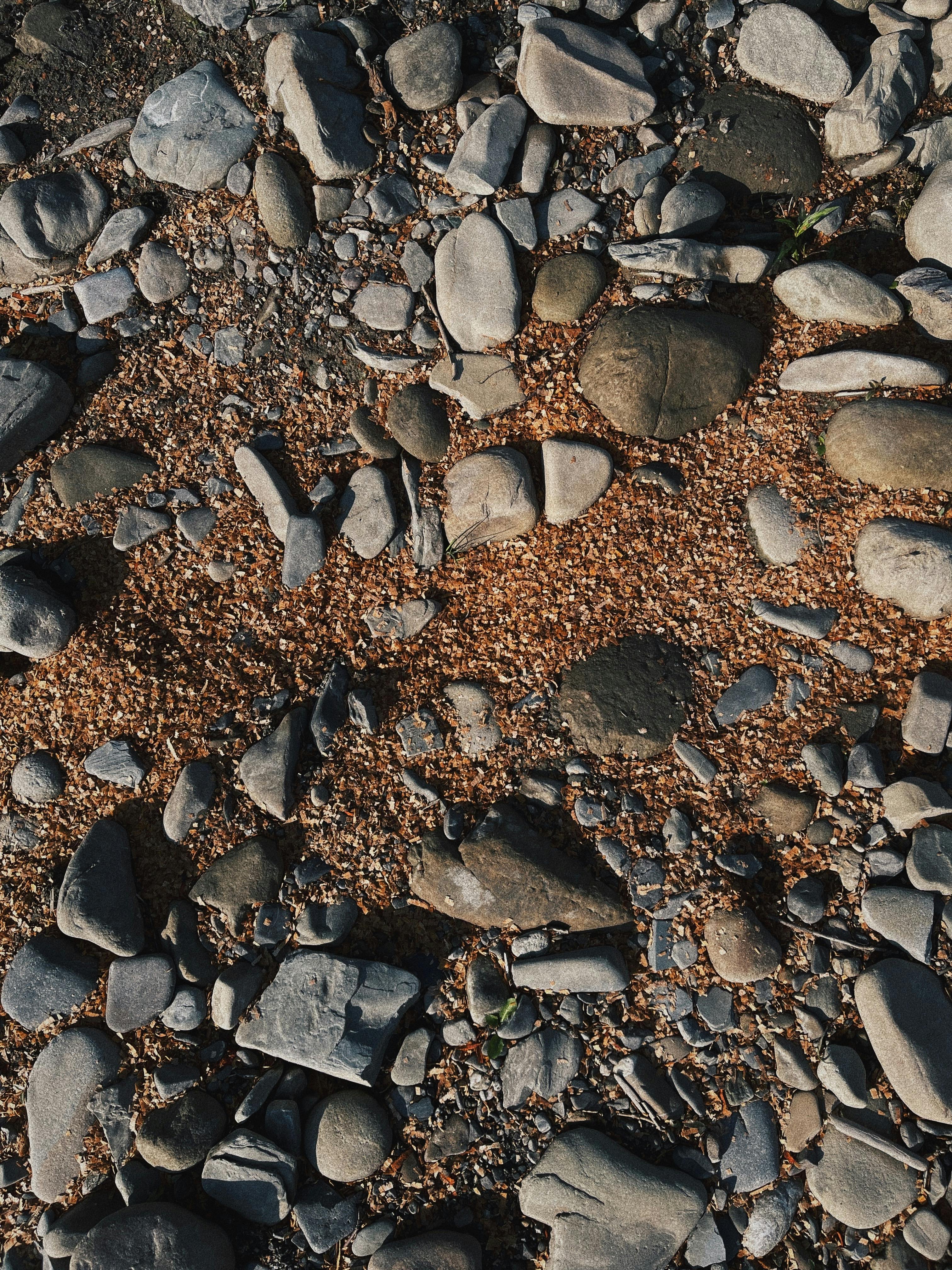 Topo Background Photos, Download The BEST Free Topo Background Stock ...