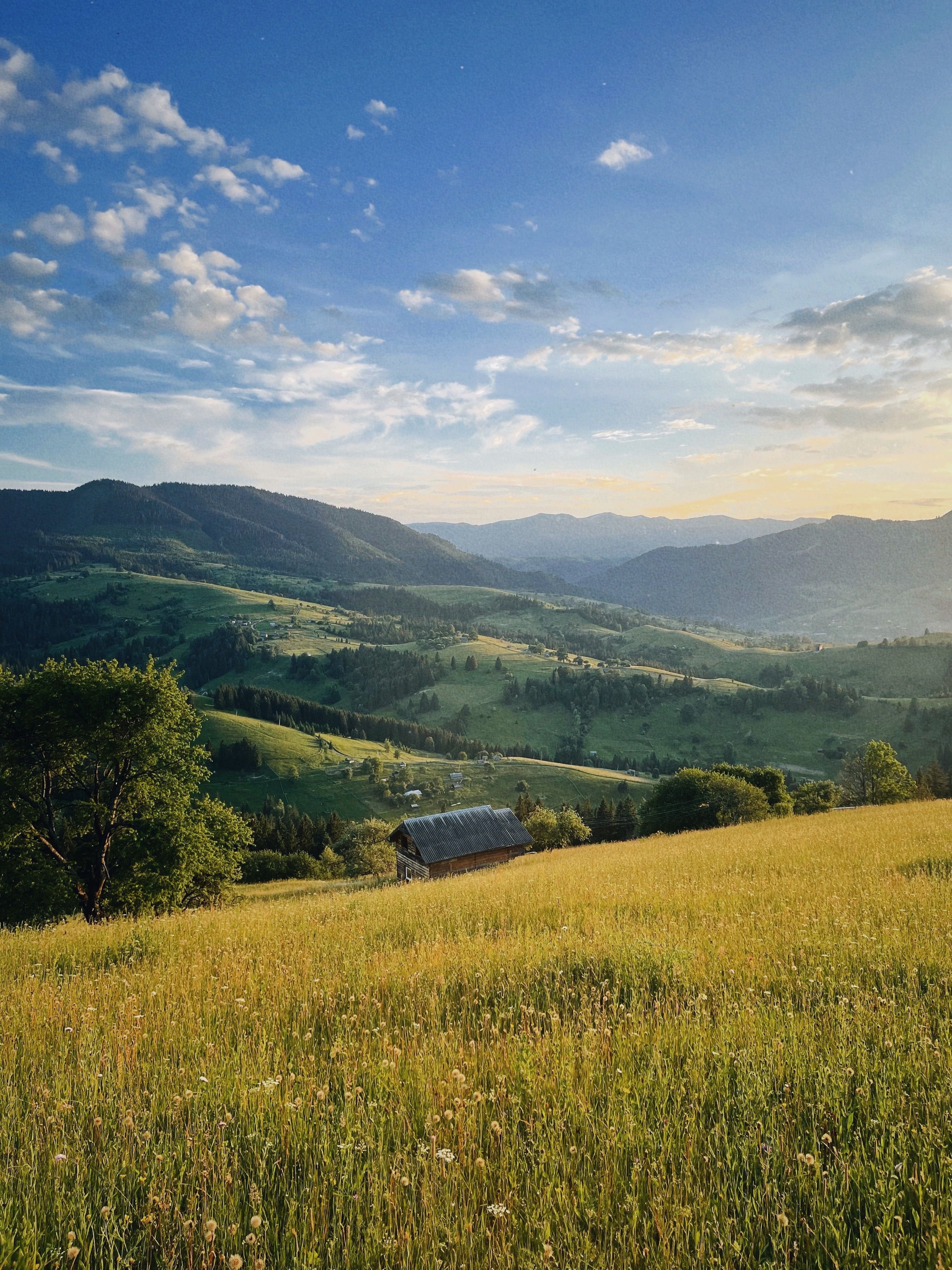 Idyllic Mountain Landscape with Rustic Cabin · Free Stock Photo