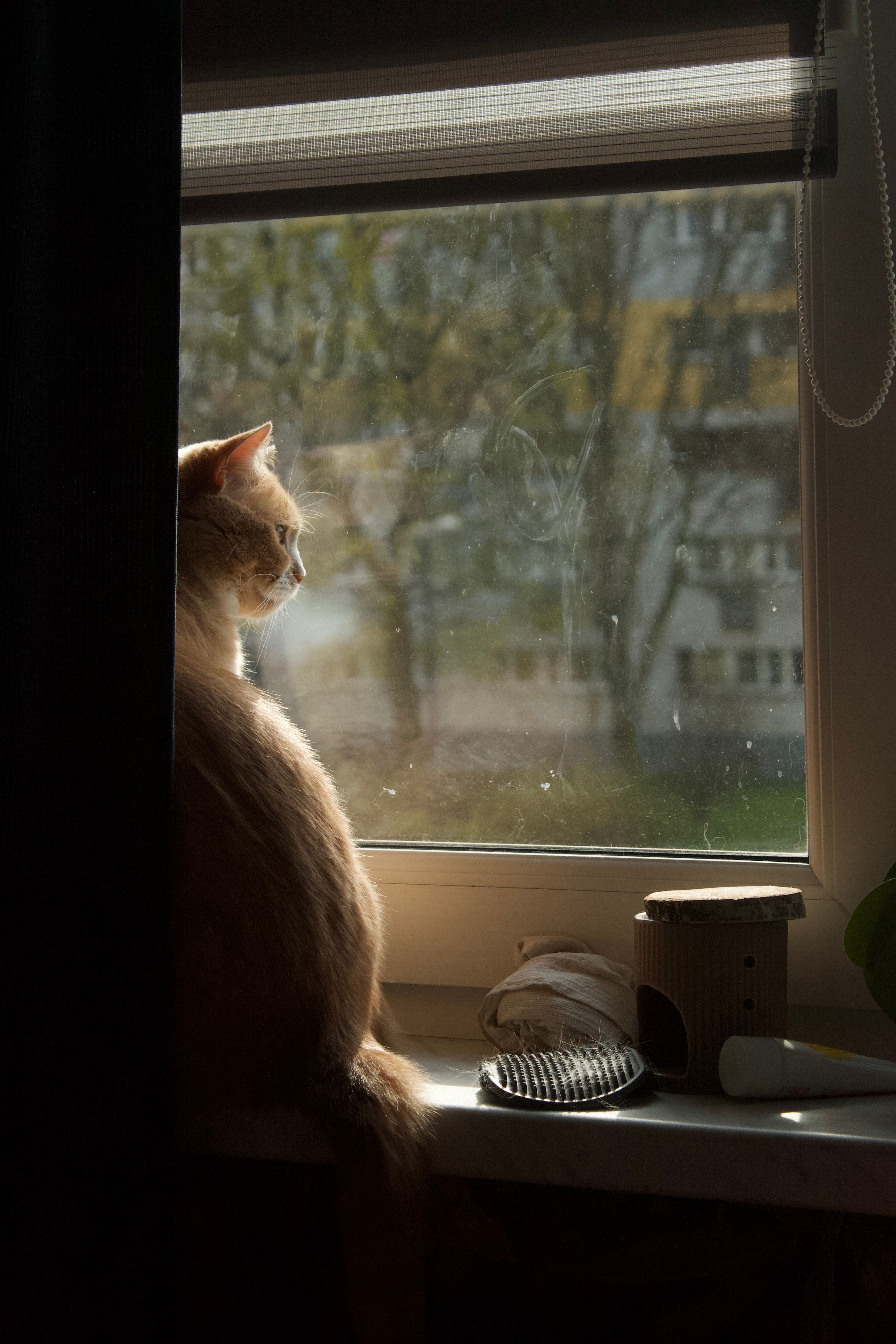 Outside Photos, Download The BEST Free Outside Stock Photos & HD Images
