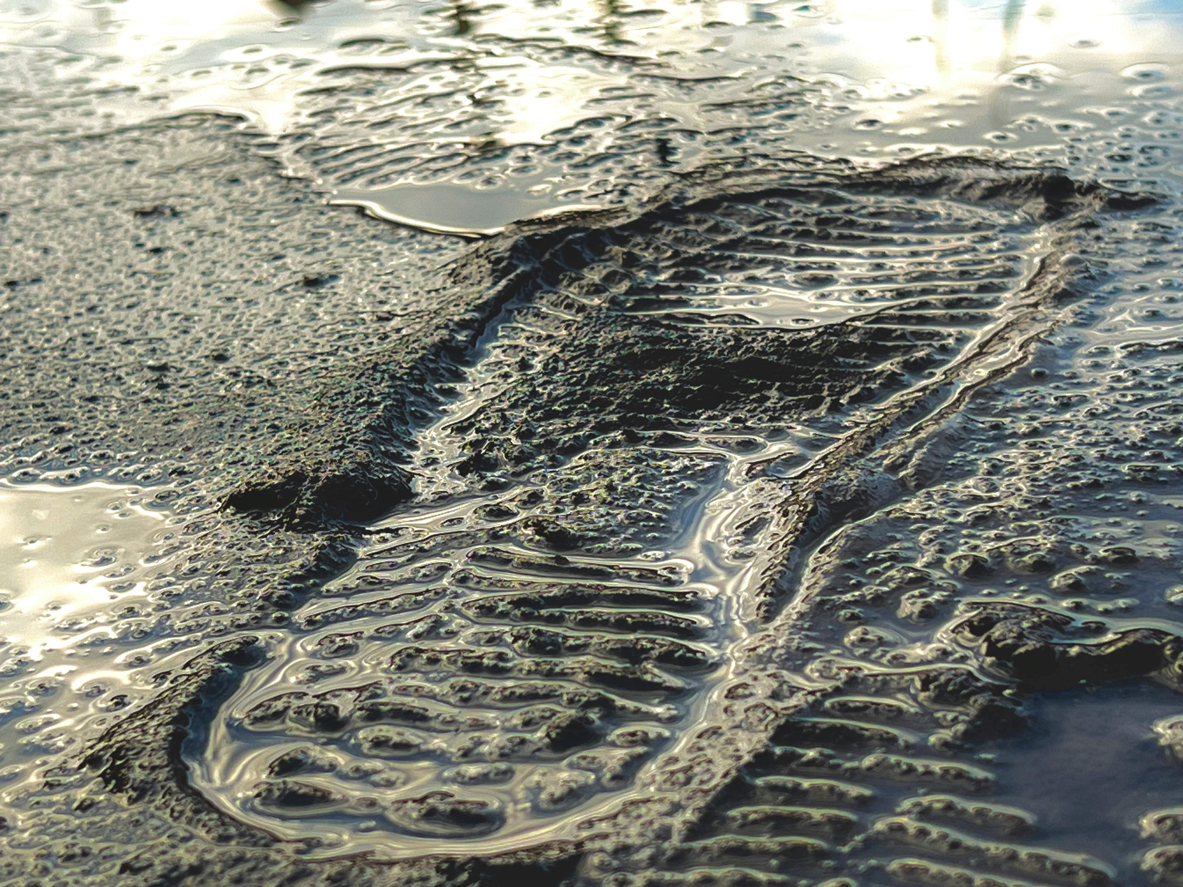 Footprint in Muddy Puddle Captured Outdoors · Free Stock Photo