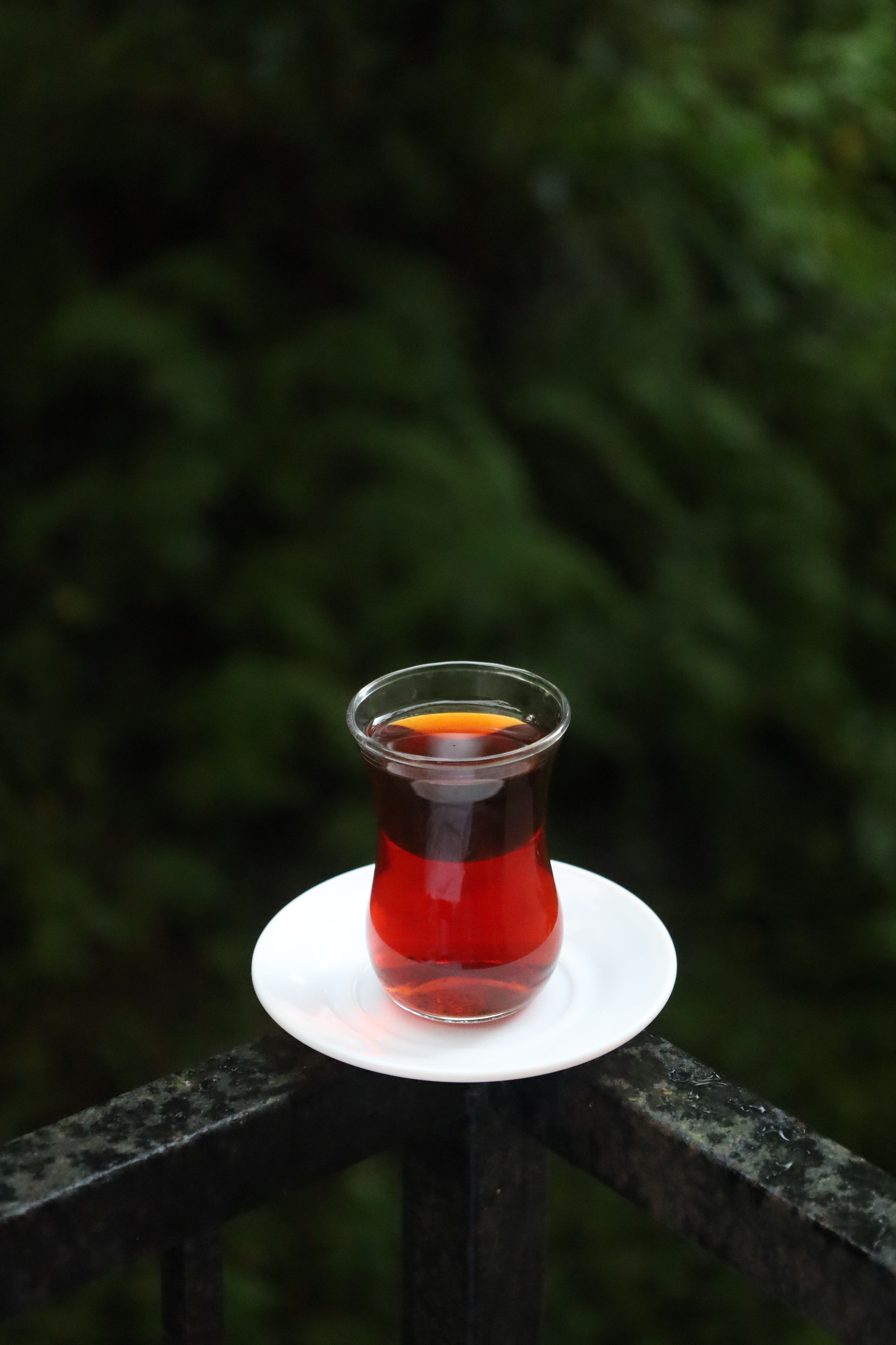 Morning Tea Photos, Download The BEST Free Morning Tea Stock Photos ...