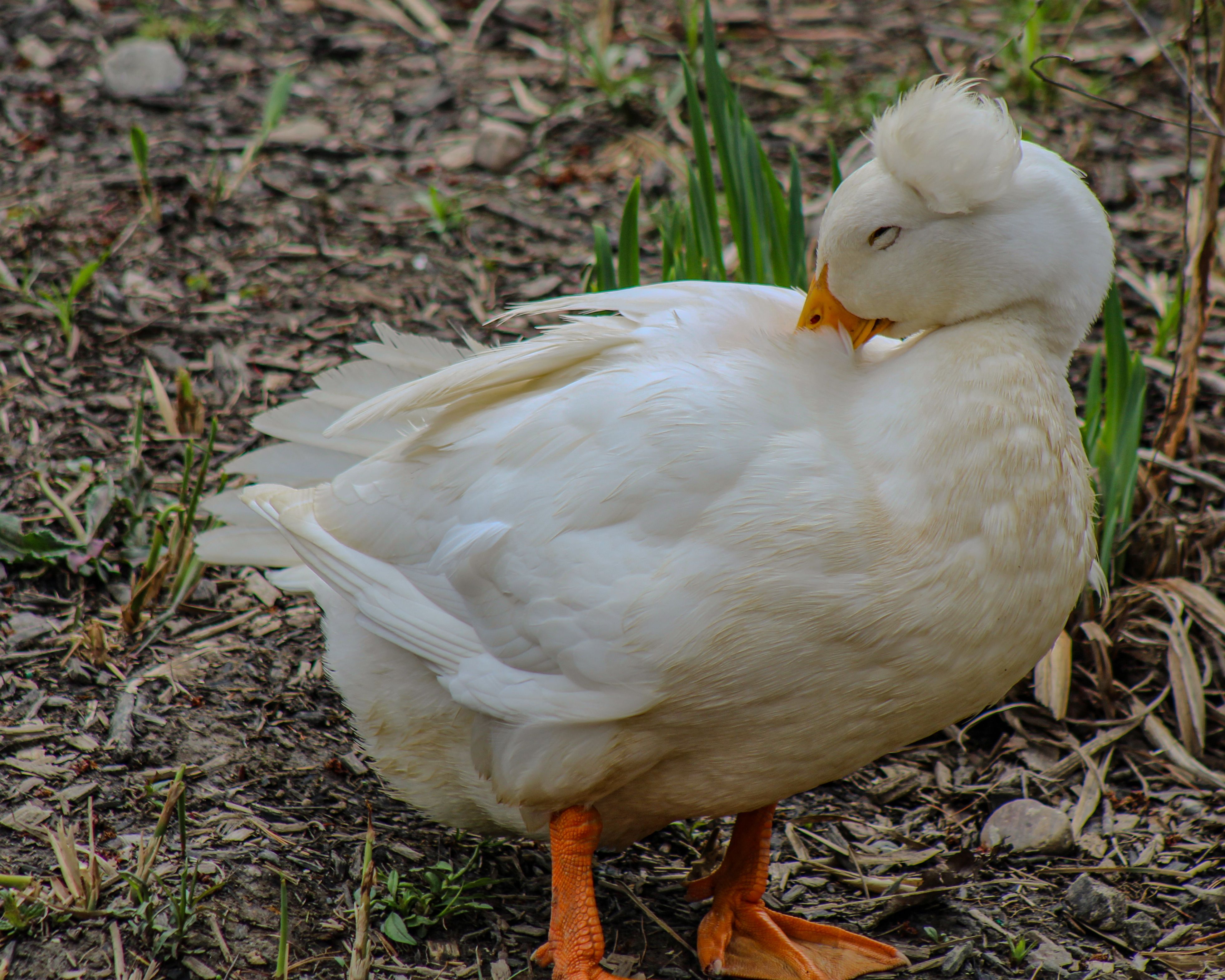 Background Without Watermark Photos, Download The BEST Free Background ...