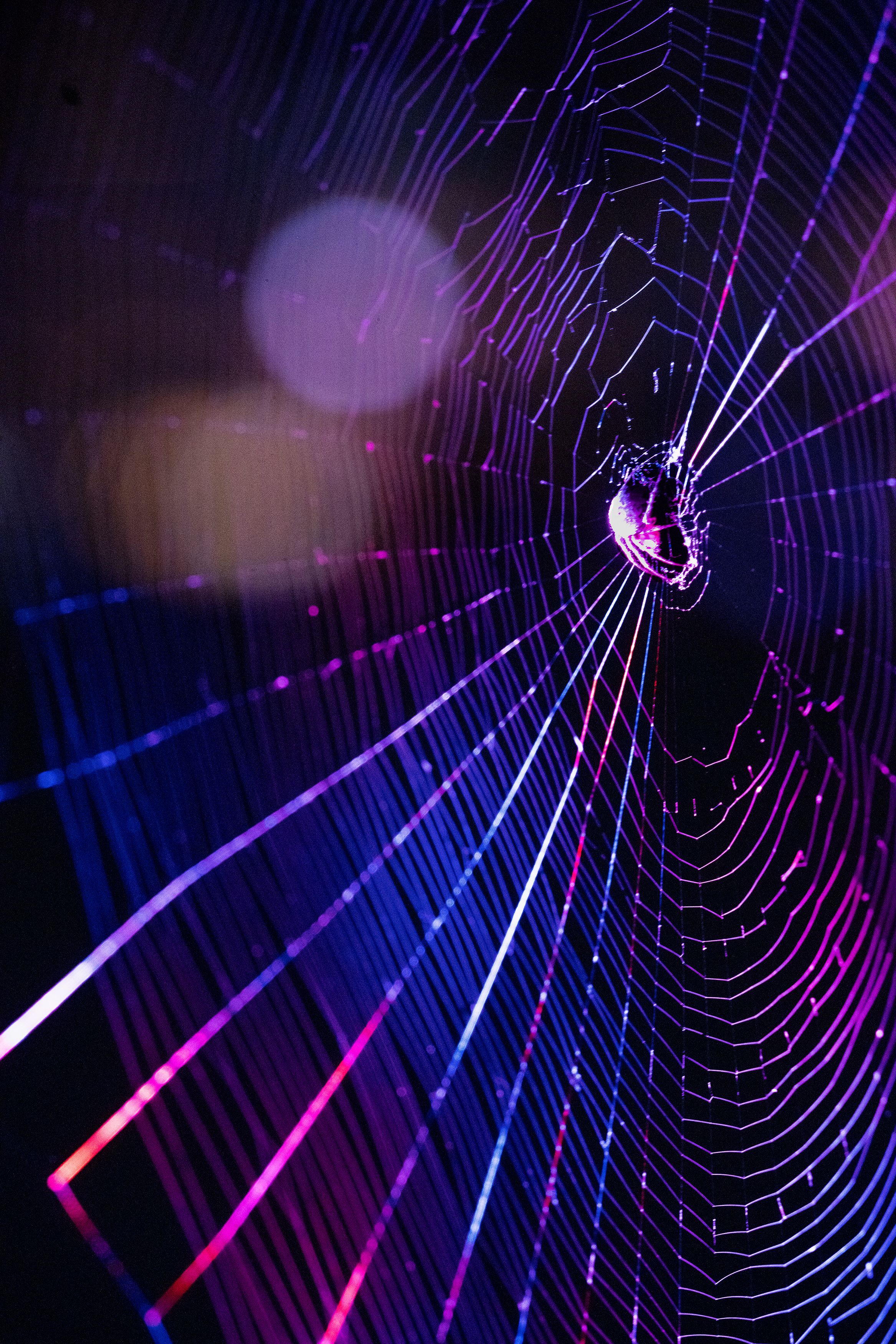 Dark + Web Photos, Download The BEST Free Dark + Web Stock Photos & HD ...