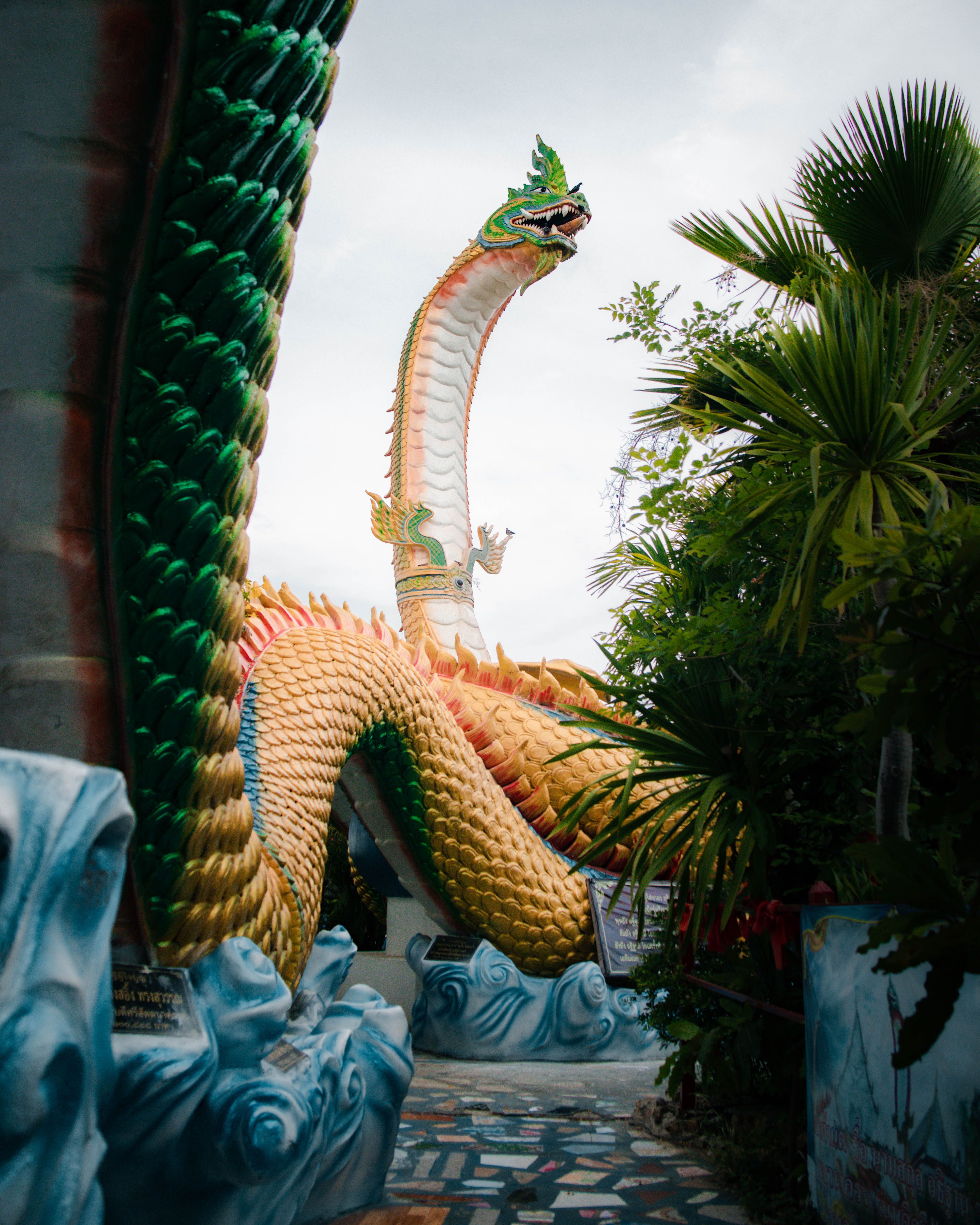 Serpent Mythology Photos Download The Best Free Serpent Mythology