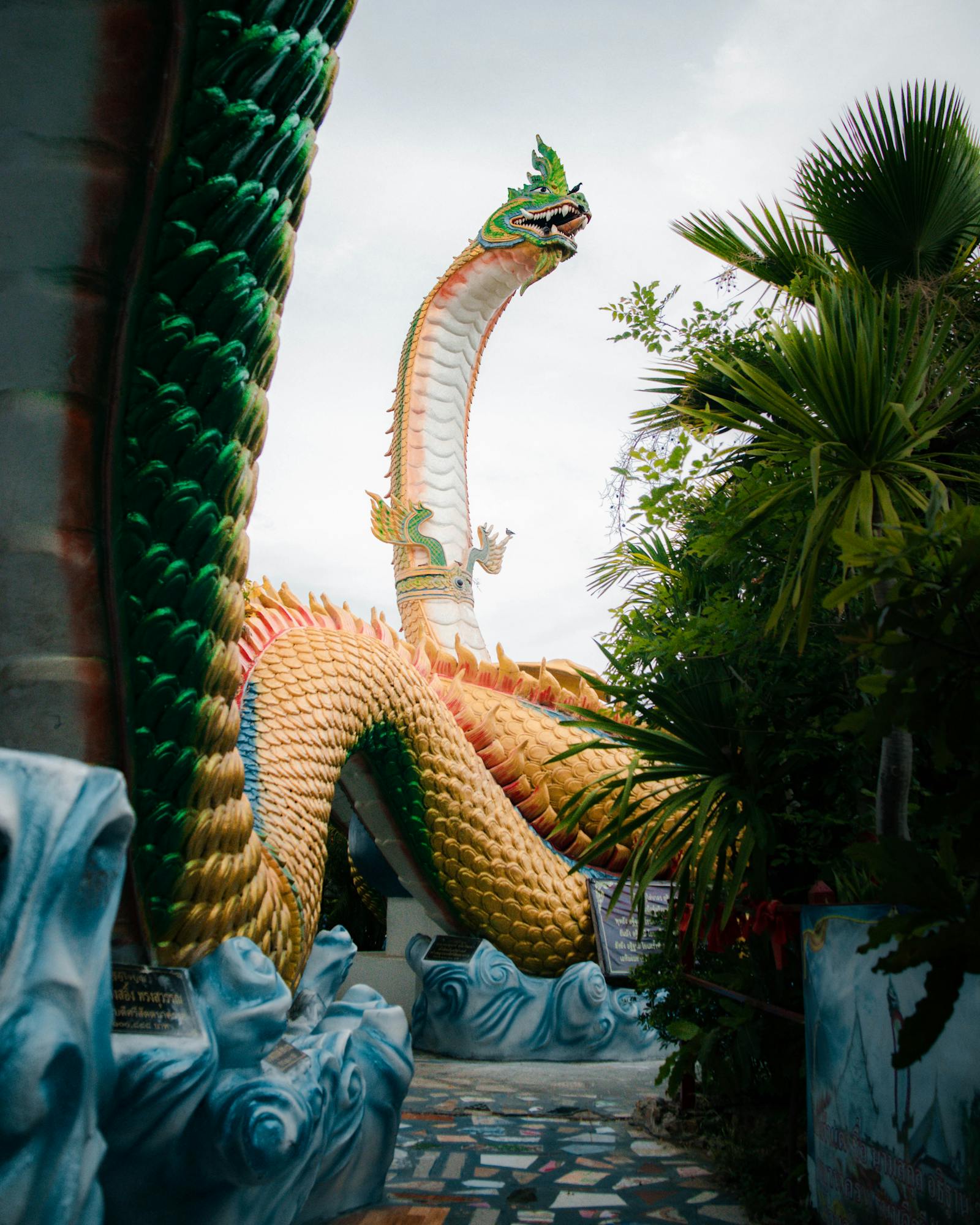 Dragon Images Photos, Download The BEST Free Dragon Images Stock Photos ...