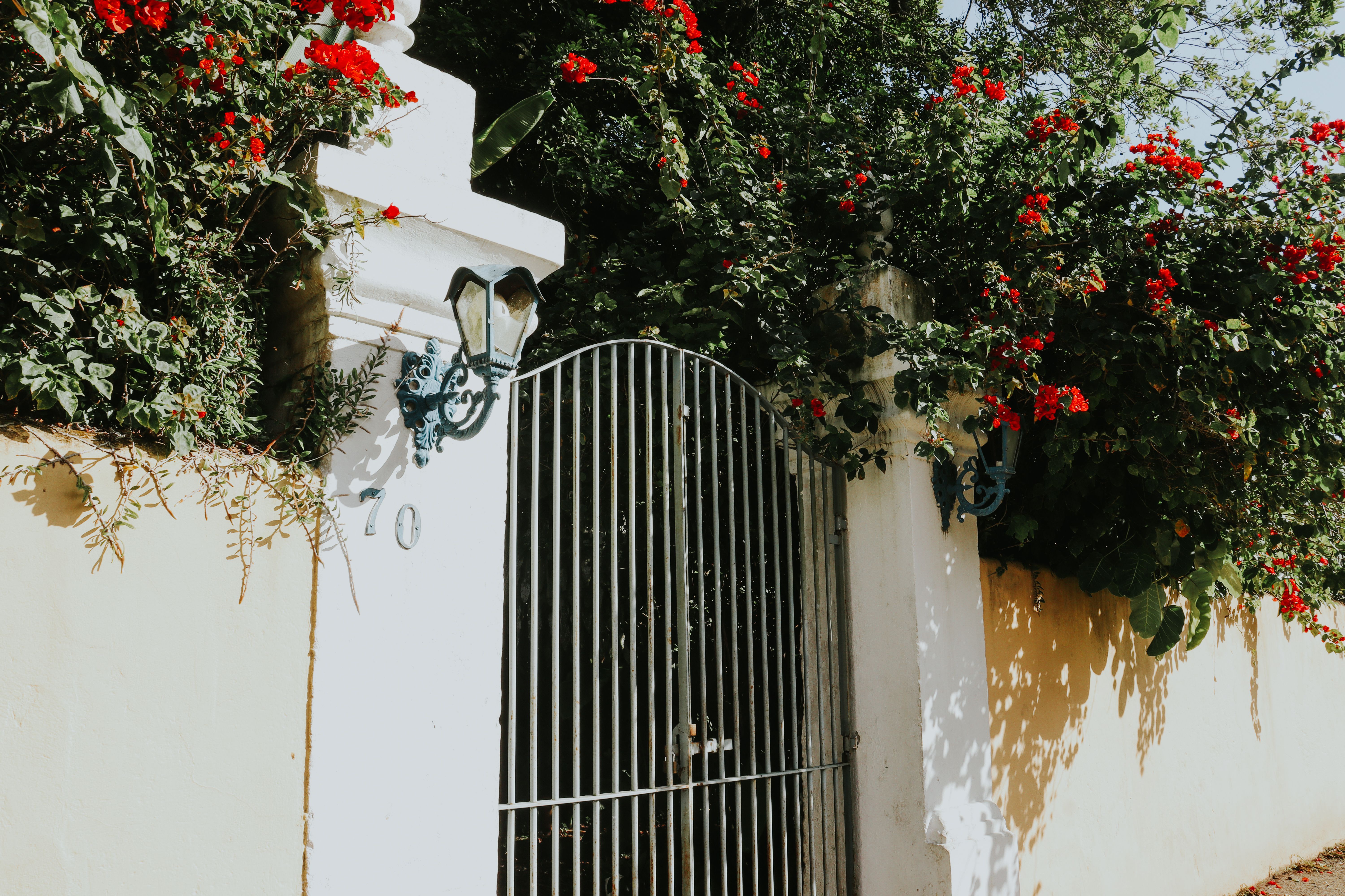 Charming Garden Gate in Porto Seguro, Brazil · Free Stock Photo