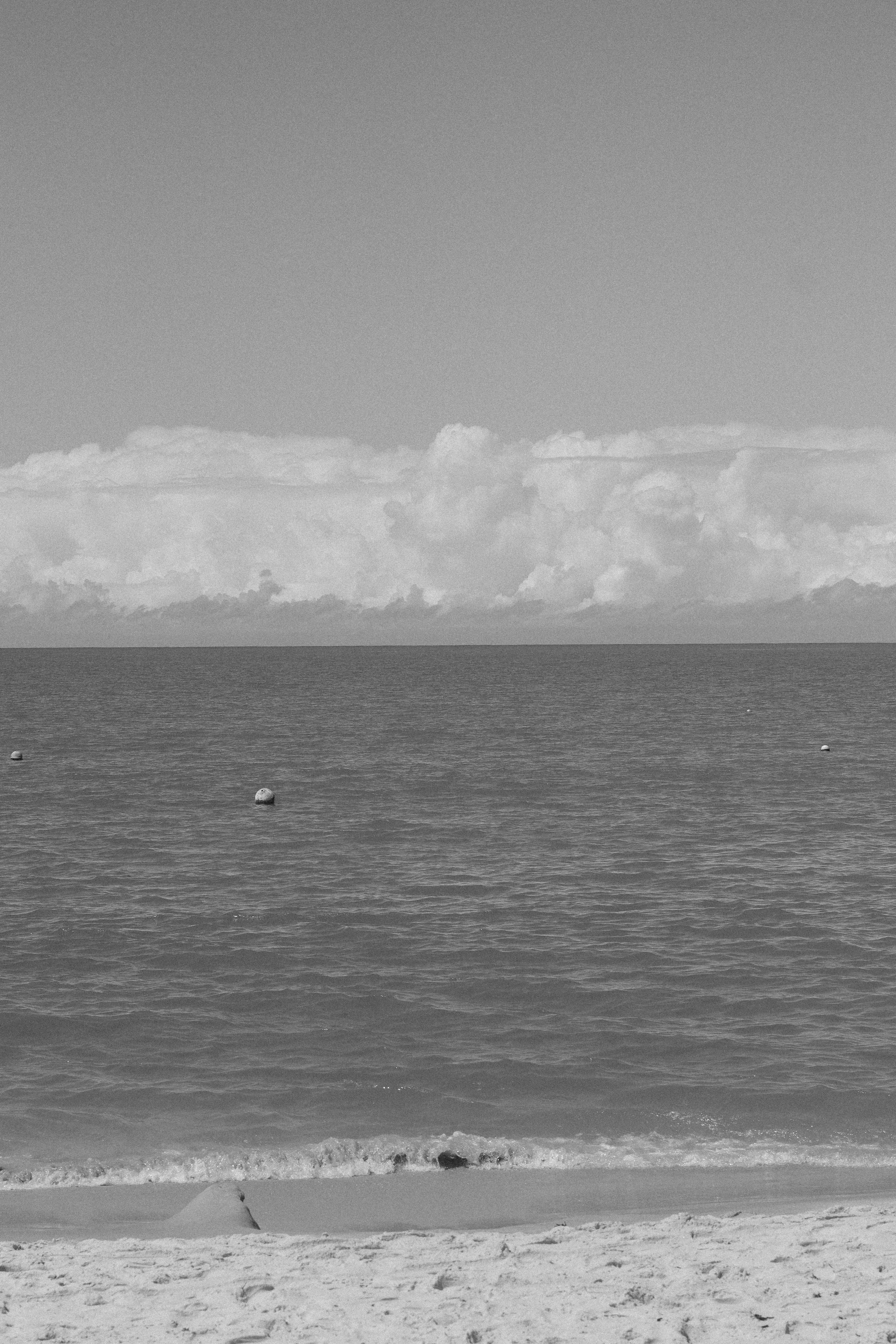 Monochrome Beach Scene at Porto Seguro, Brazil · Free Stock Photo