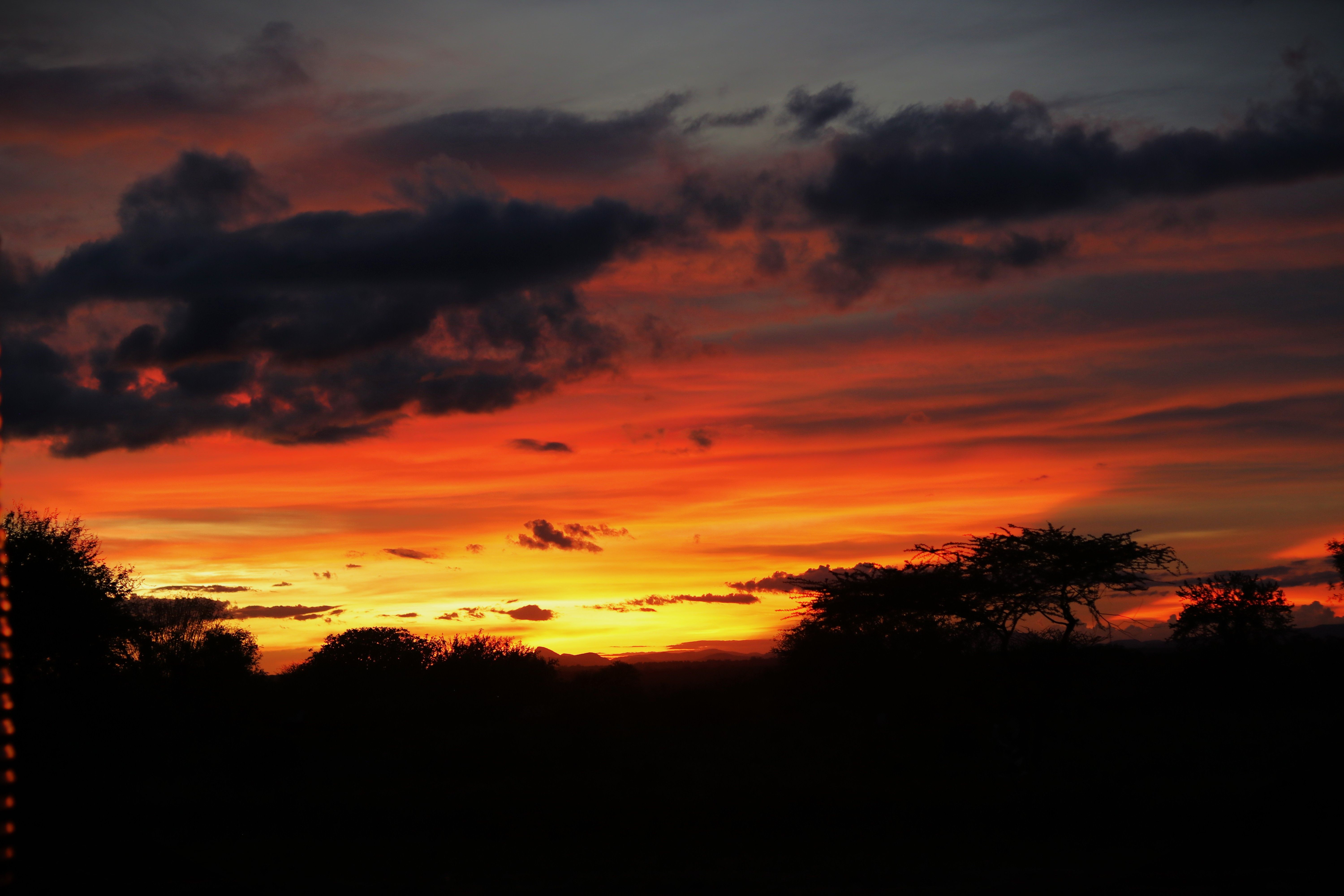 Stunning Sunset Over African Savannah Landscape · Free Stock Photo
