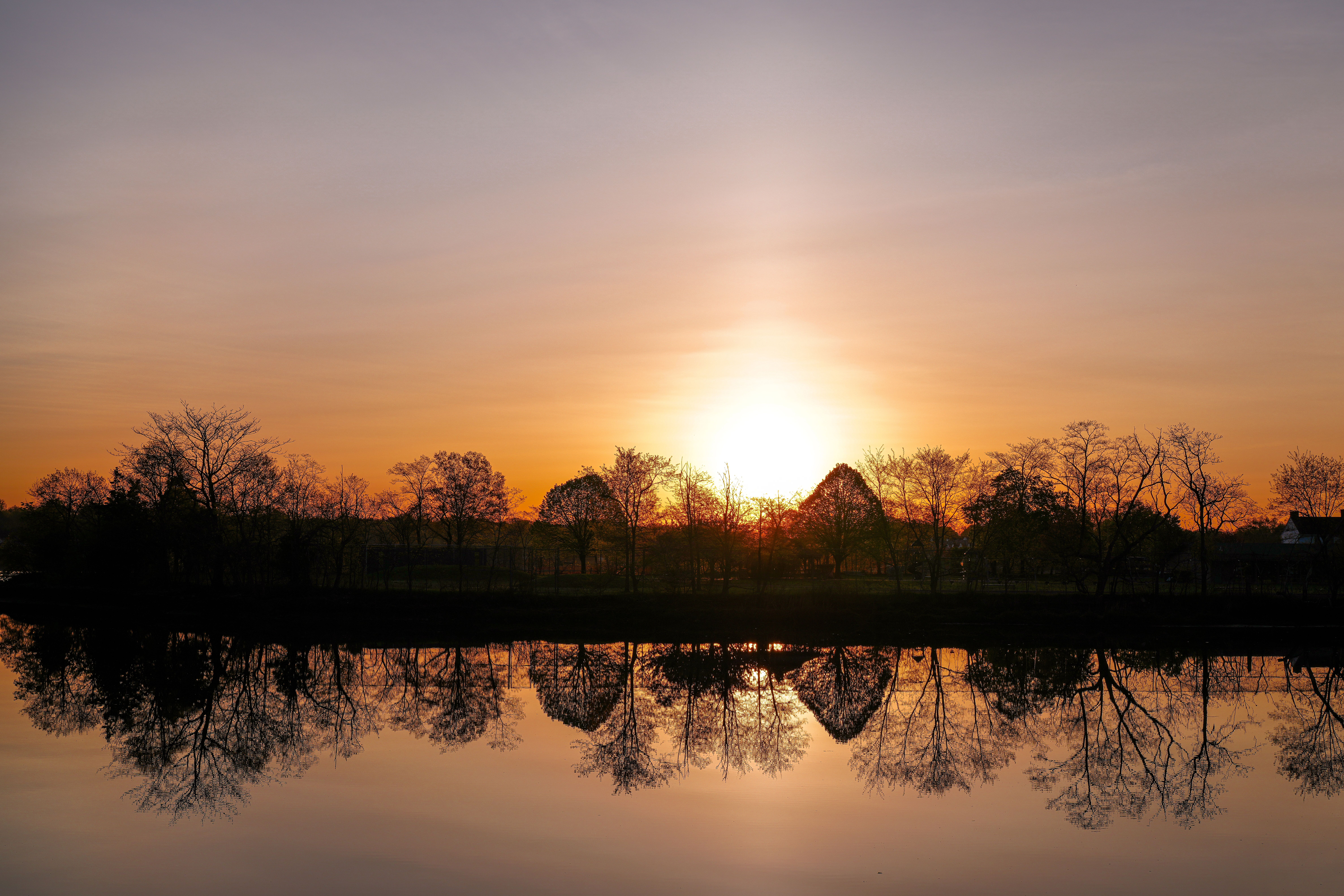 Serene Sunrise Reflecting Over Holly Pond · Free Stock Photo