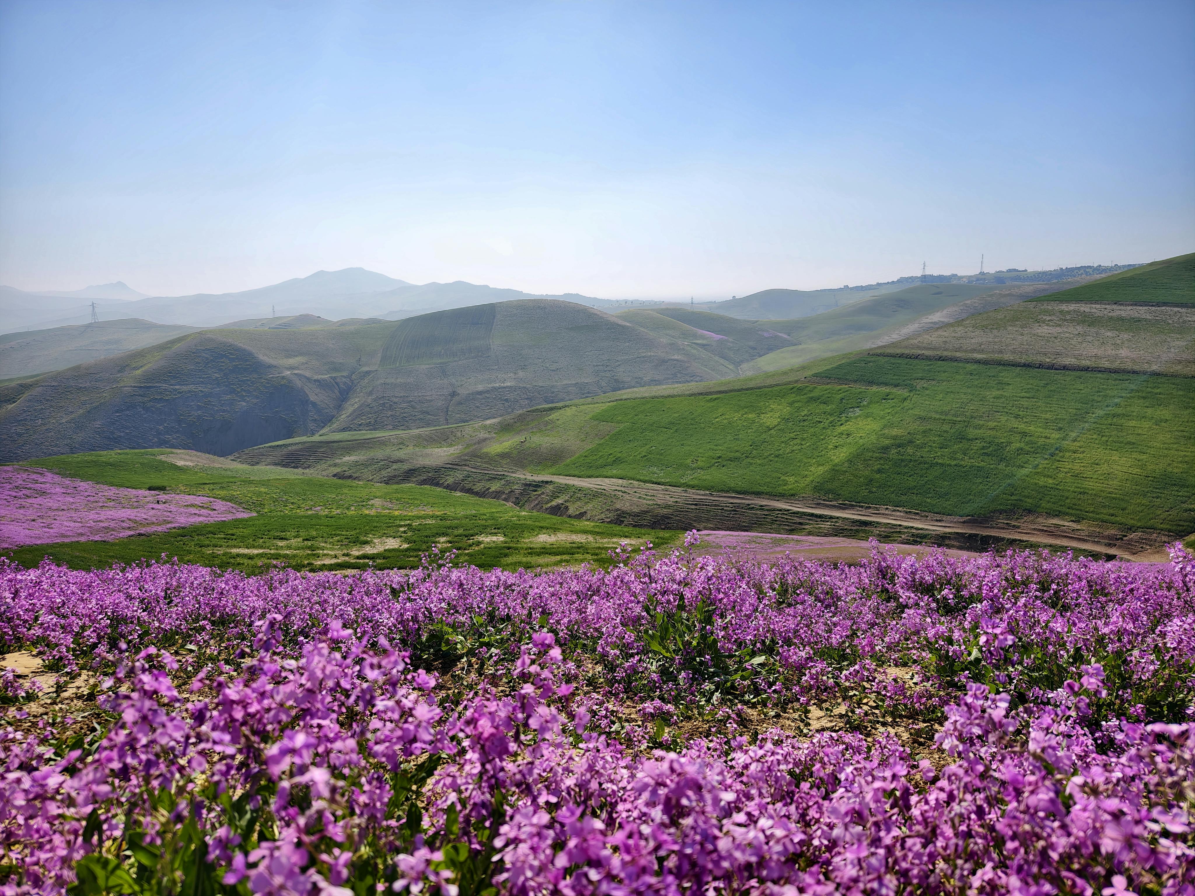 Beautiful Spring Landscape in Fes, Morocco · Free Stock Photo