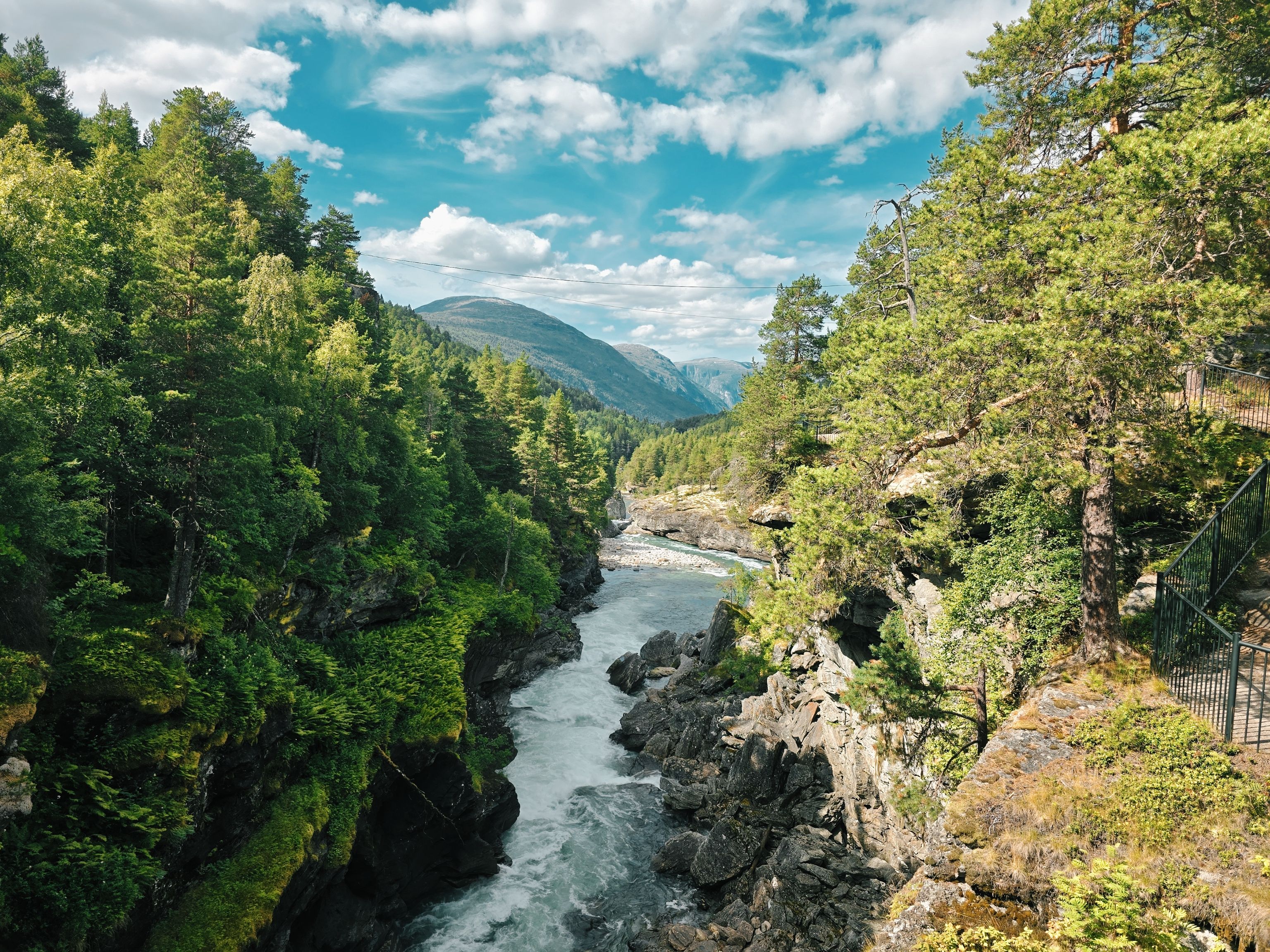Scenic Norwegian River Flowing Through Lush Forest · Free Stock Photo